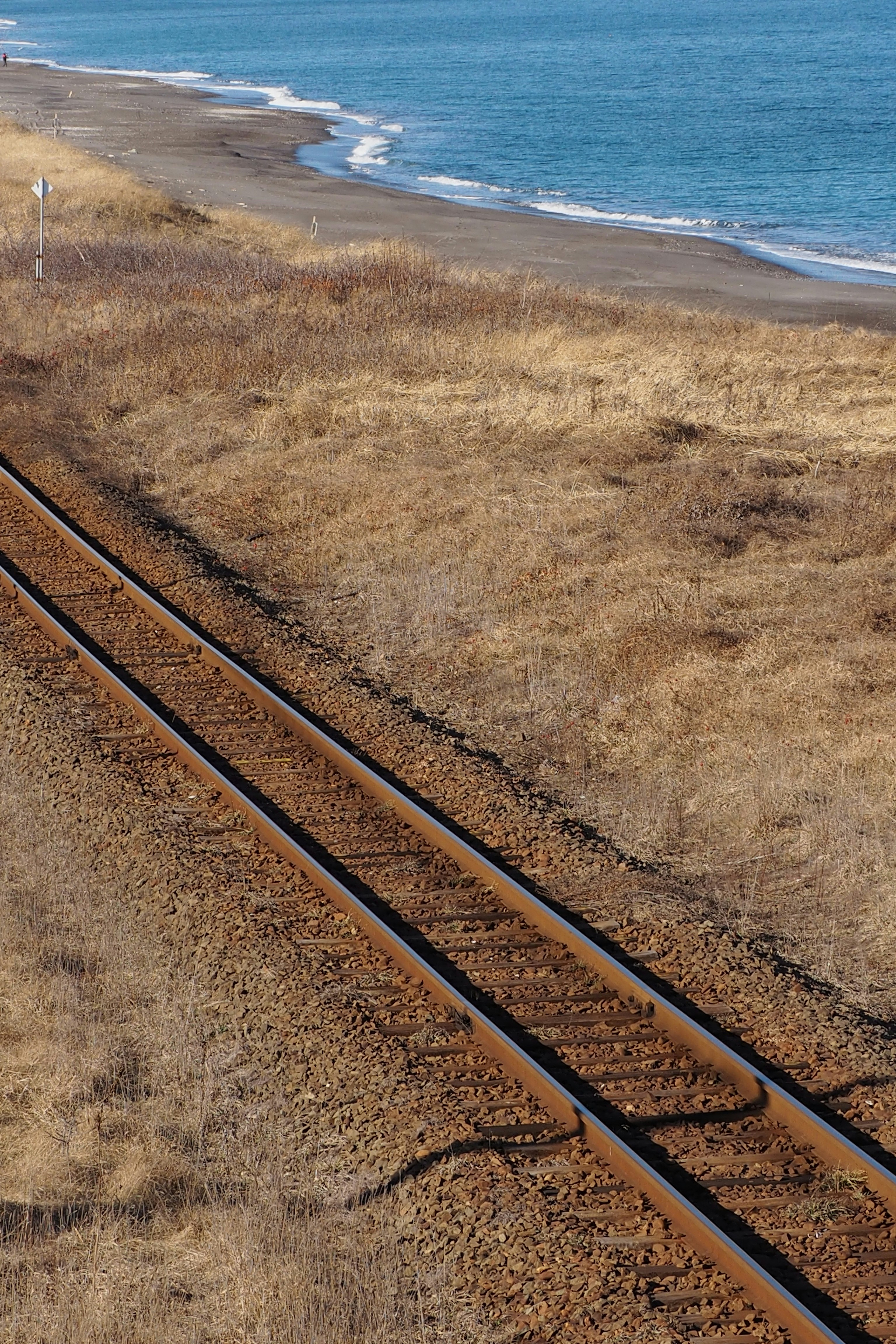 Rusty railroad tracks meandering through golden grasslands alongside a serene beach and vibrant blue sea.