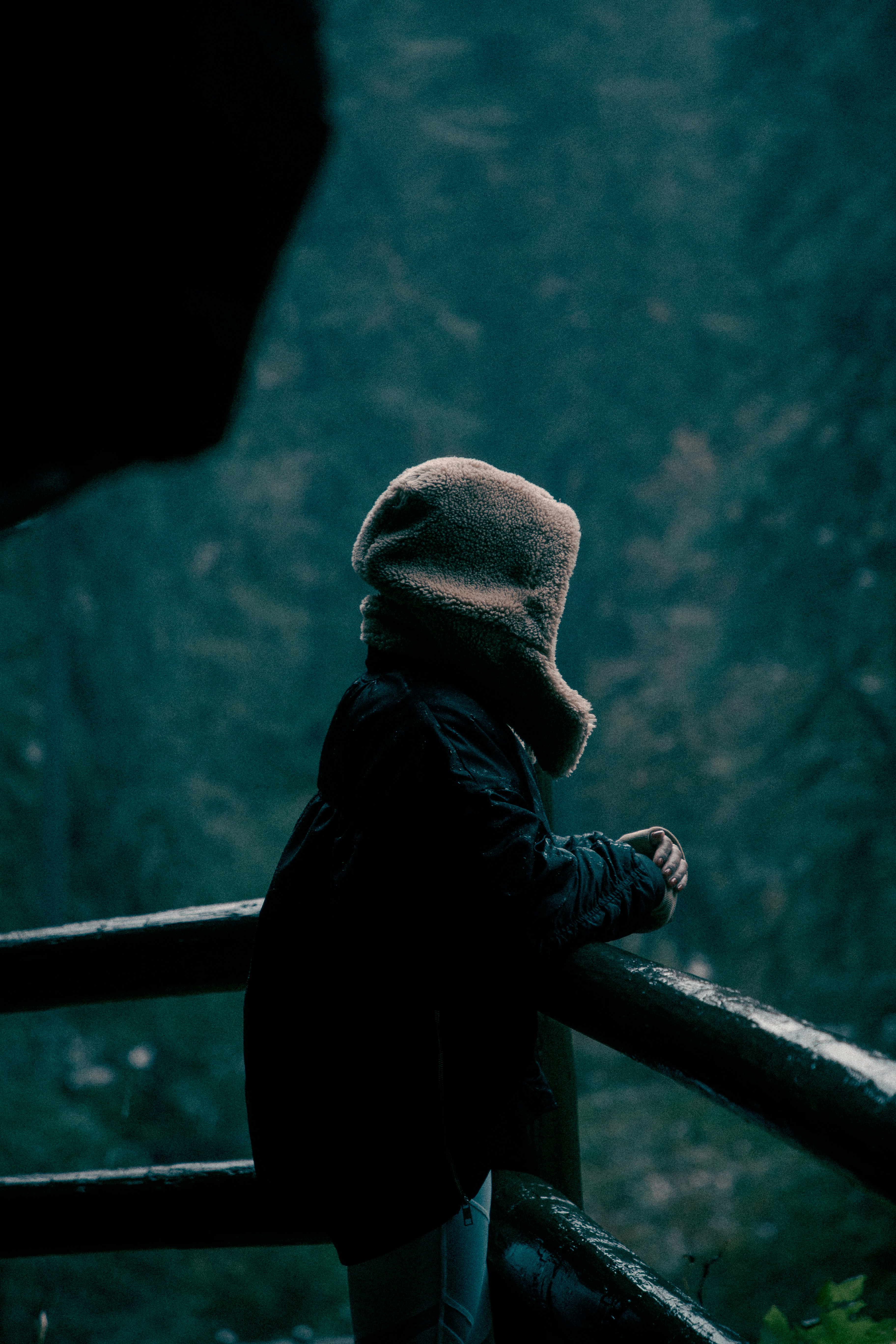 A person standing on a railing looking down at a forest photo – Free ...