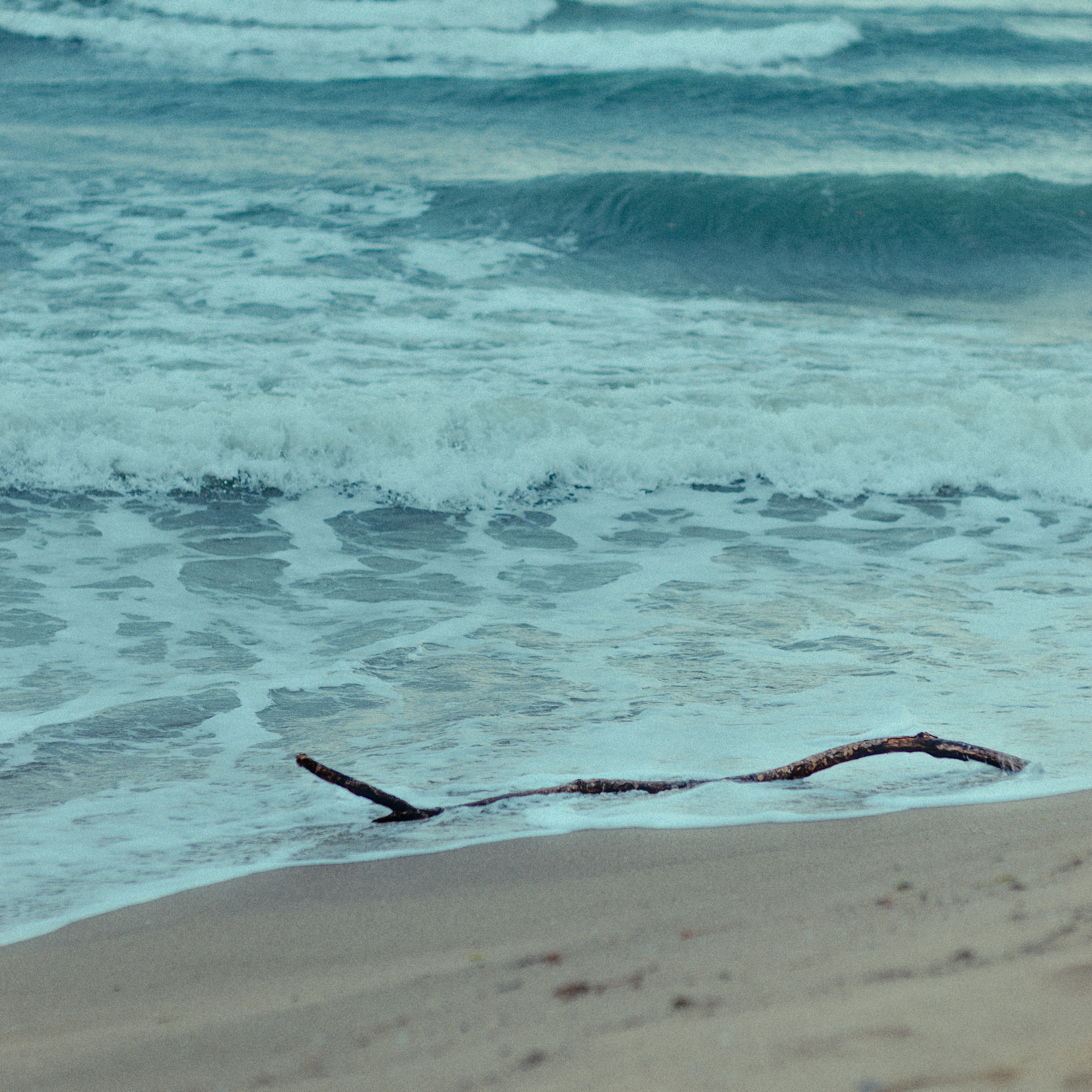 Gentle waves lap against a sandy shore, with a solitary stick partially submerged in the water's edge.