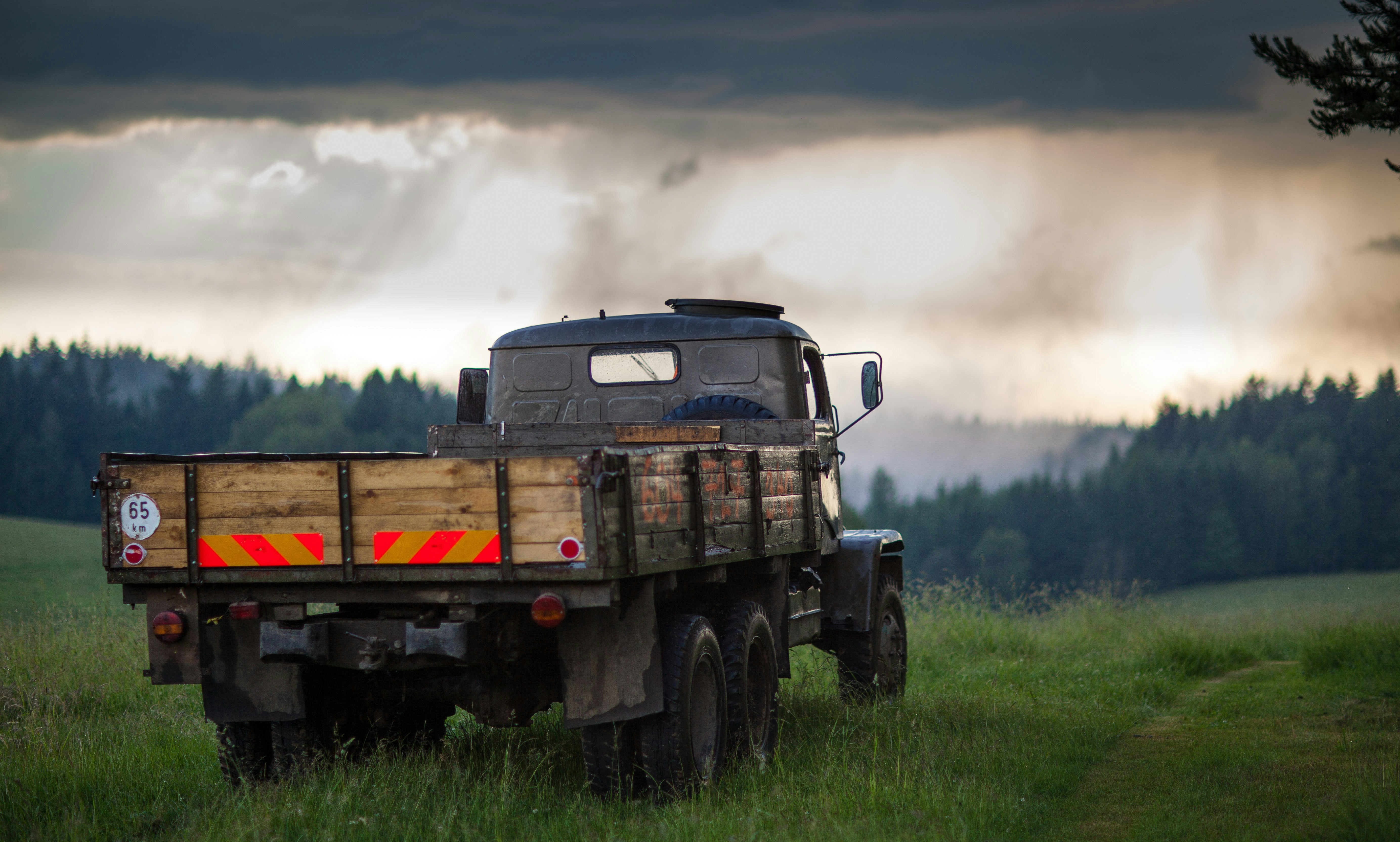 Fog-Soaked Meadow Hauler at the Edge of the Pines