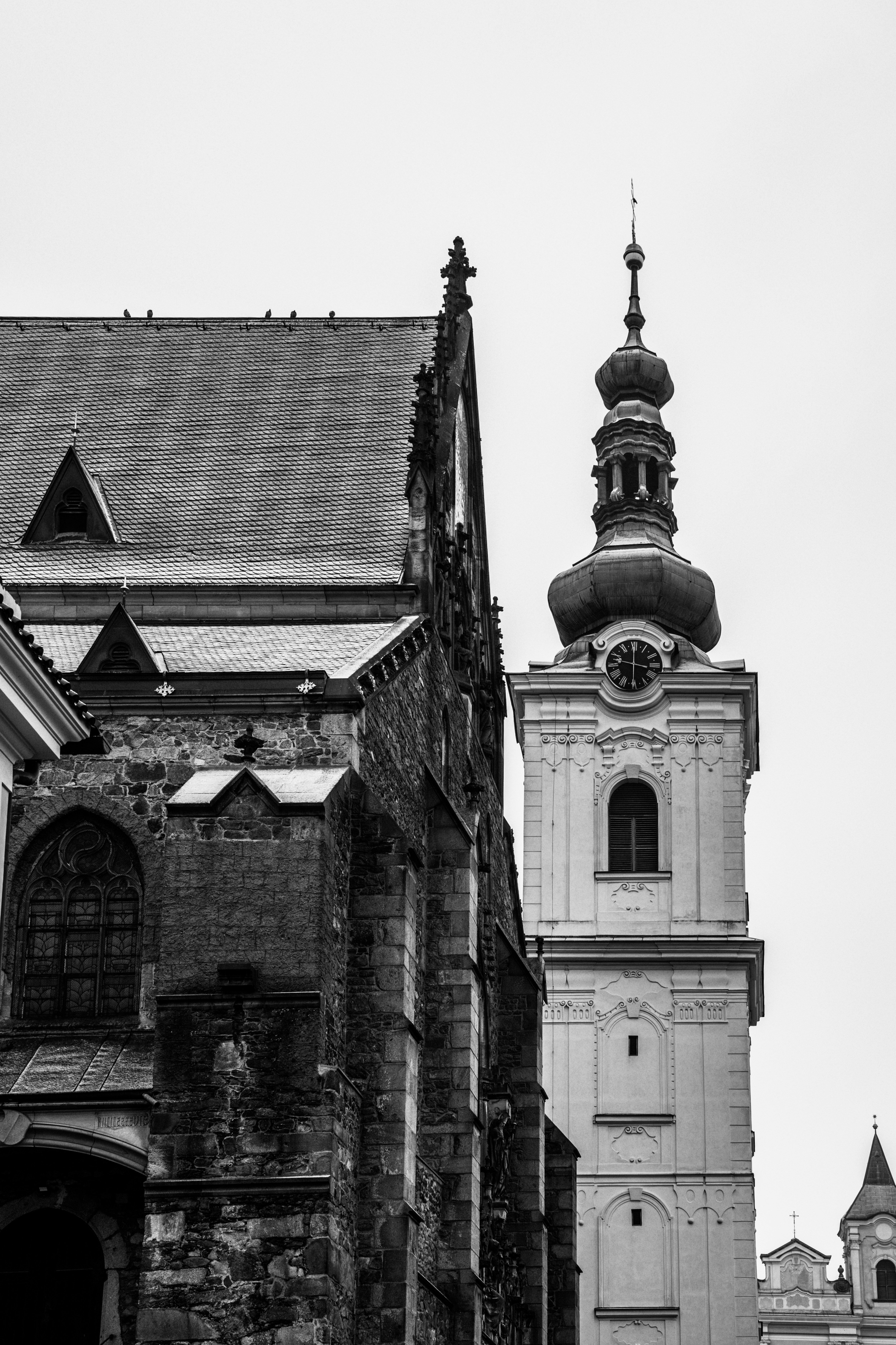 Photo by Leonhard Niederwimmer with Sony Alpha 7 II