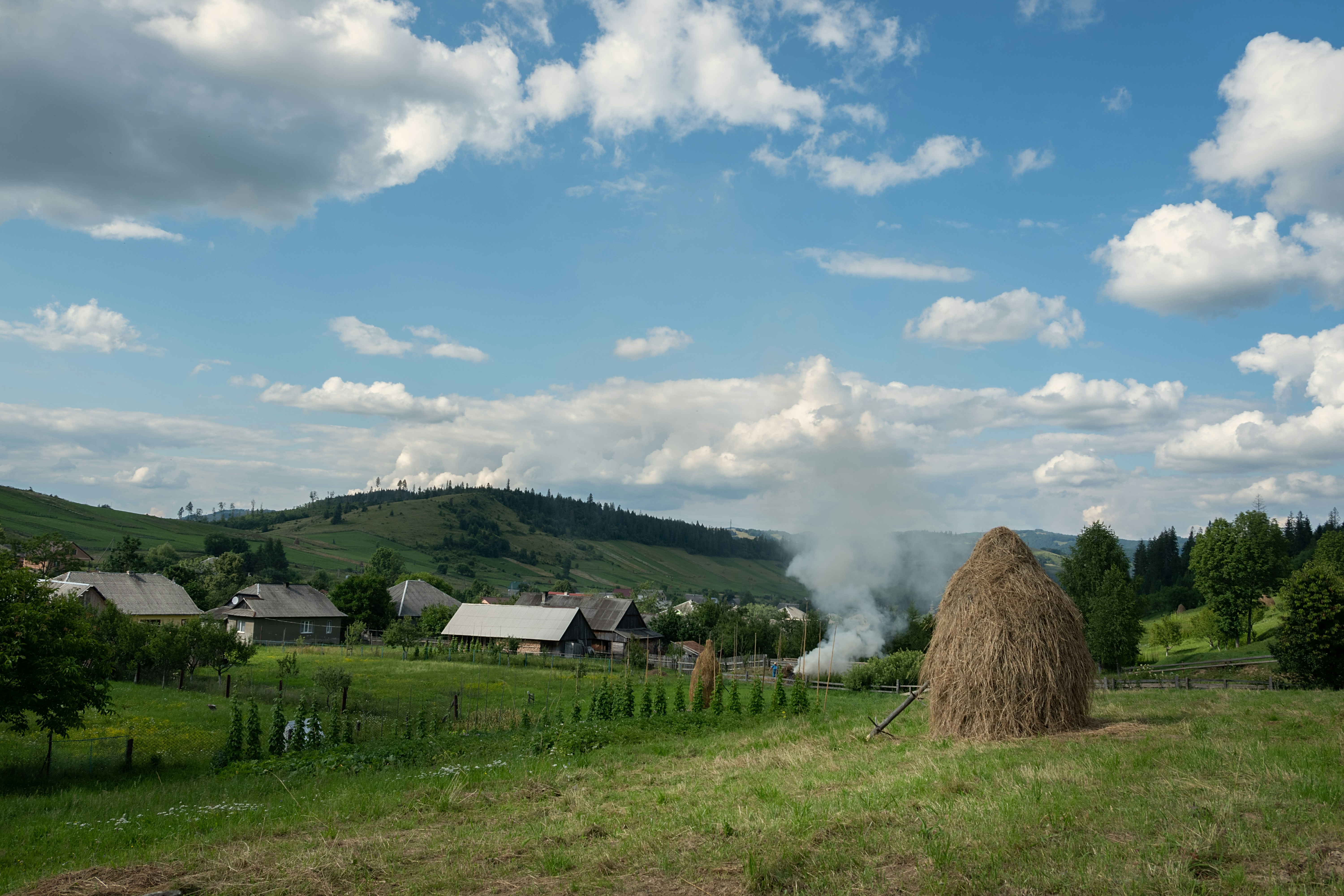 A hay bail in a field with houses in the background photo – Free Travel ...