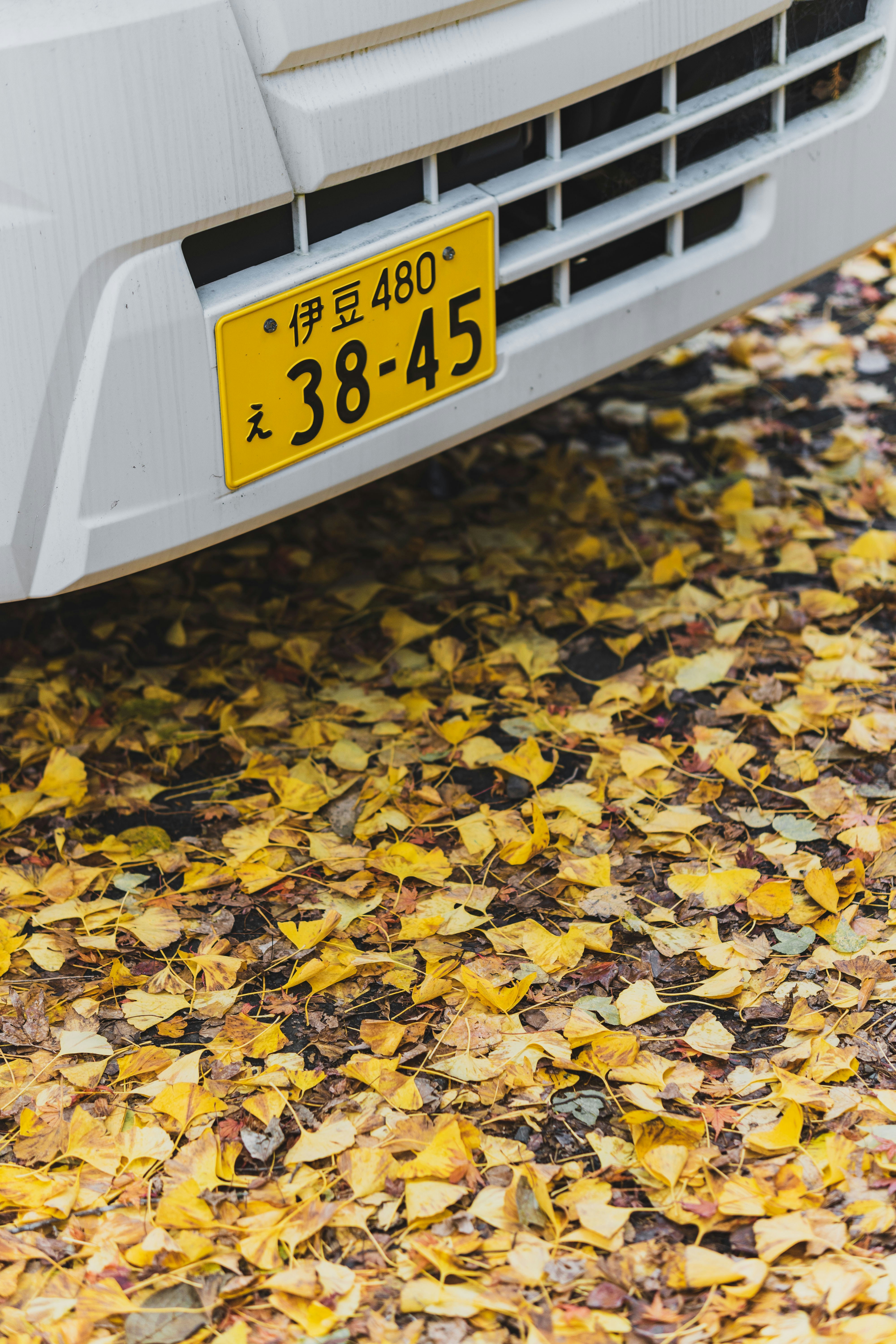 a white car with a yellow license plate