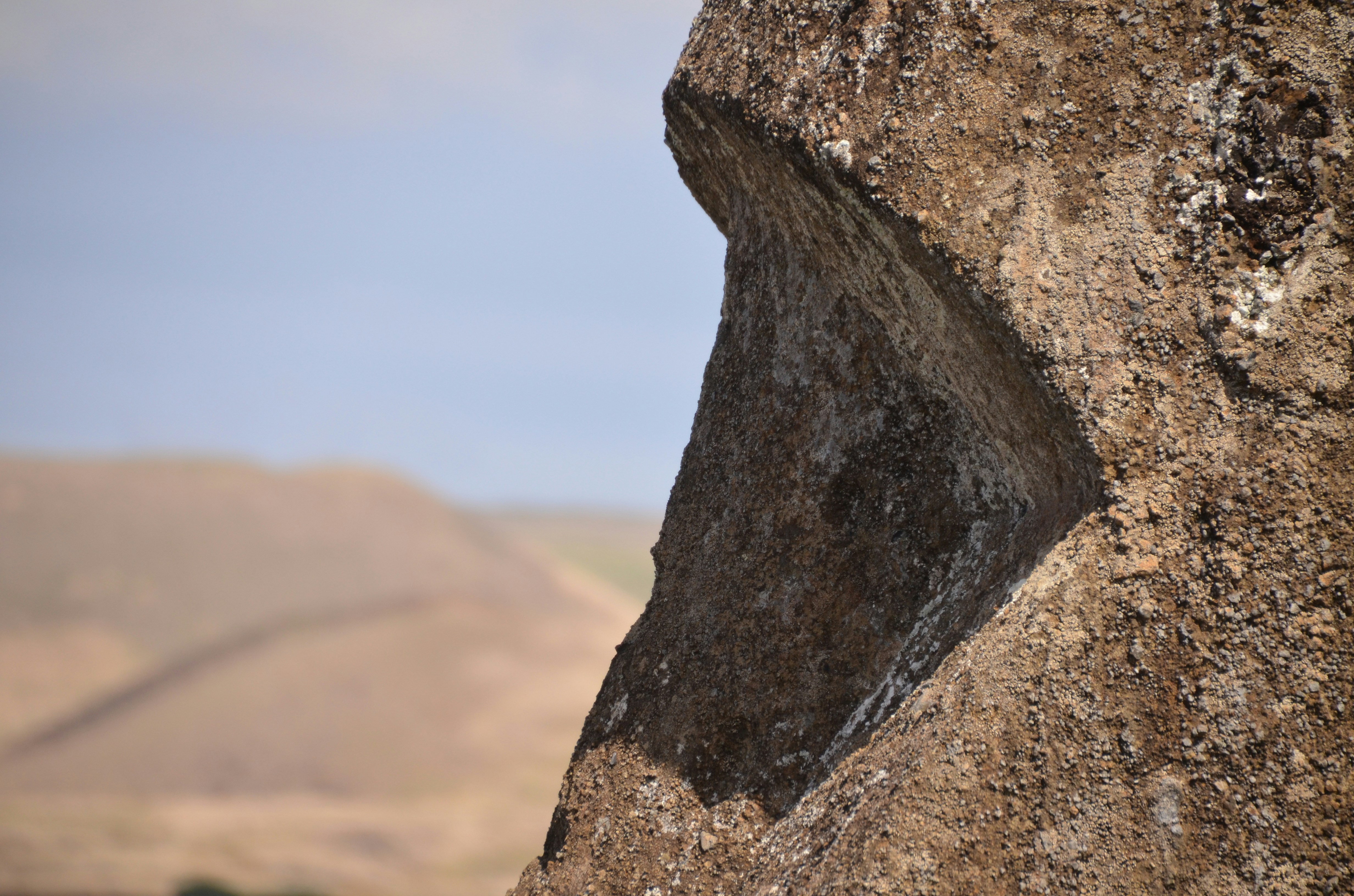 Un gros plan d’une paroi rocheuse avec une montagne en arrière-plan ...