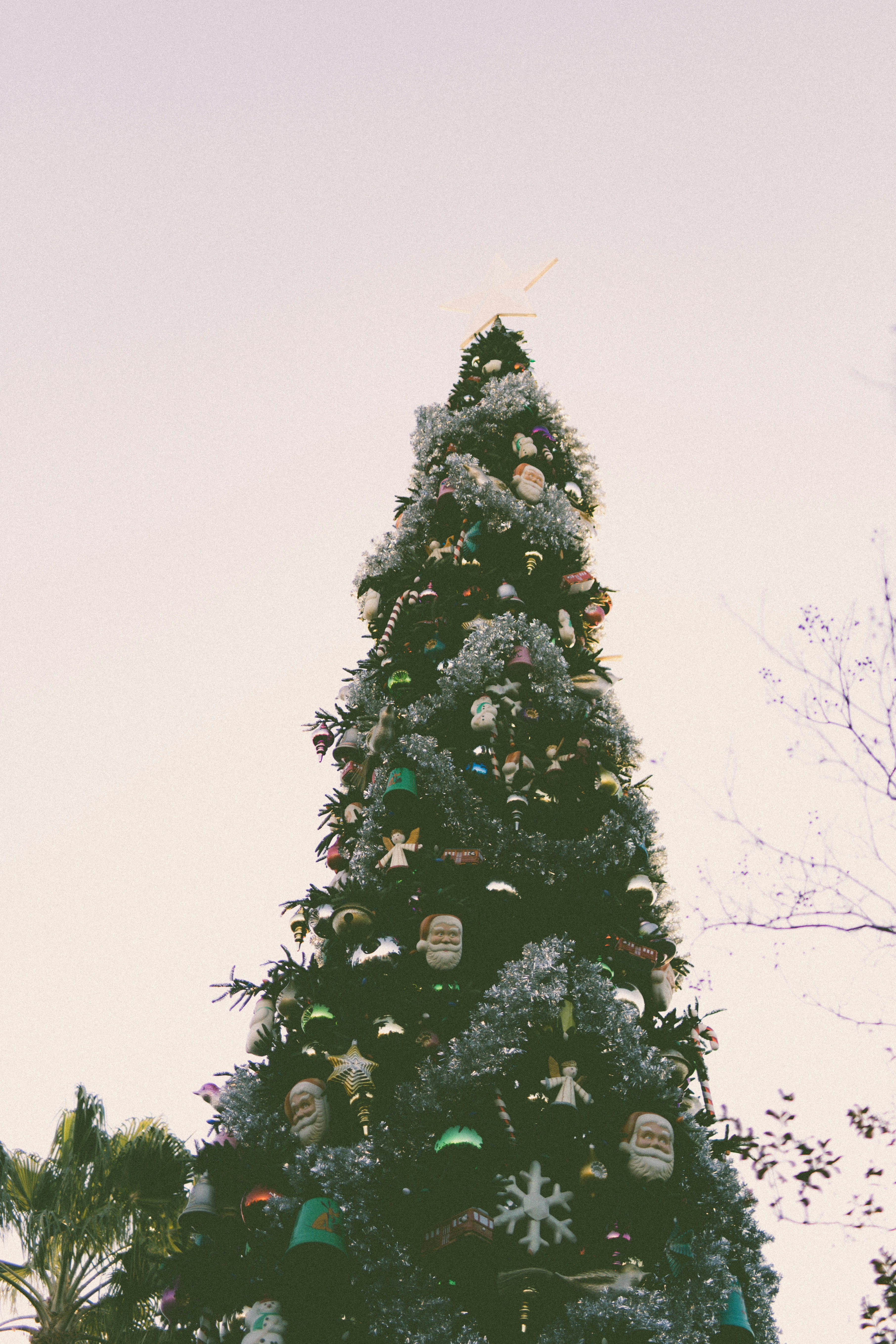 A very tall christmas tree with ornaments on it photo – Free Disneyland ...