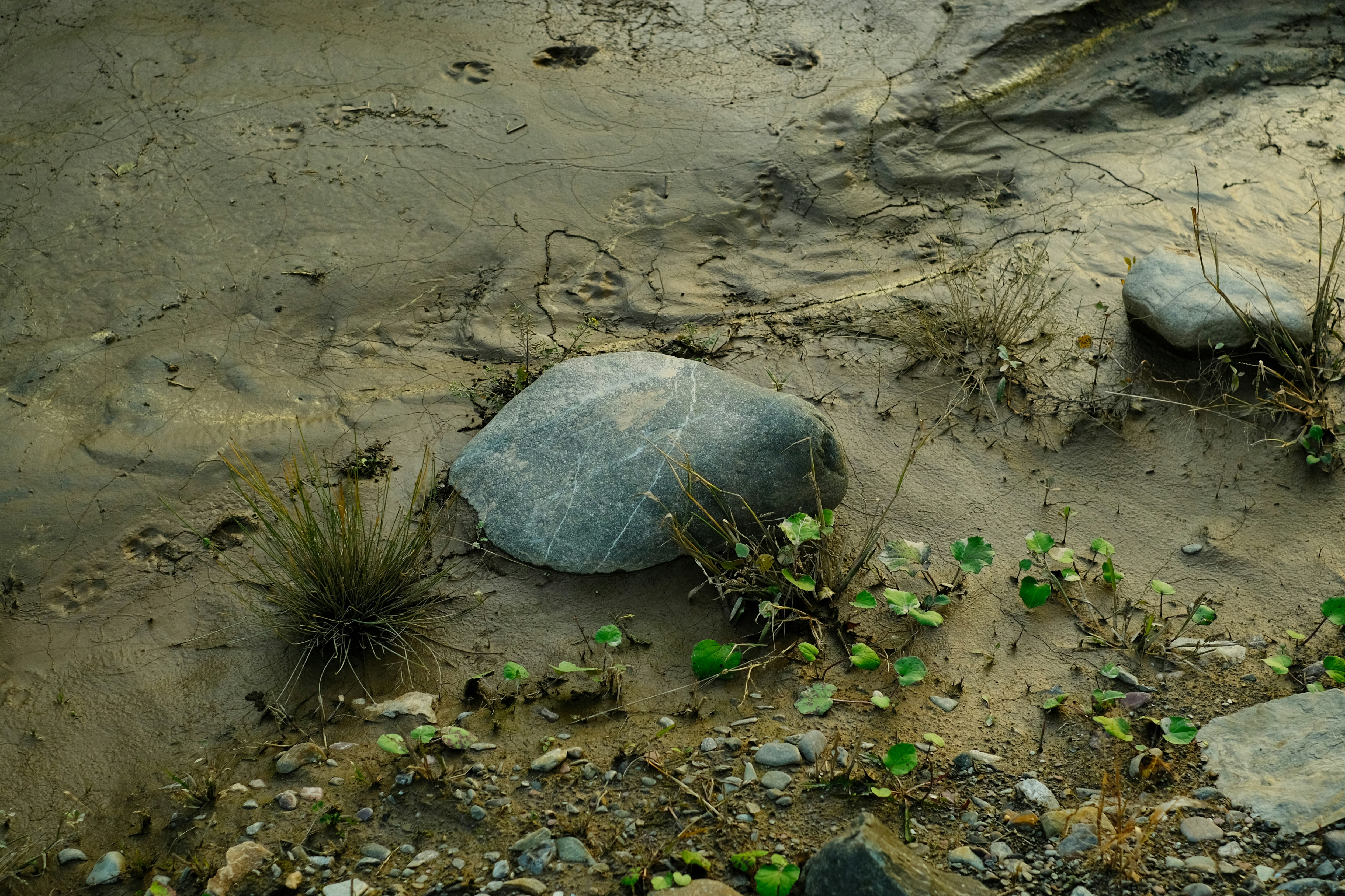 Stone Sentinel at the Muddy Riverbank