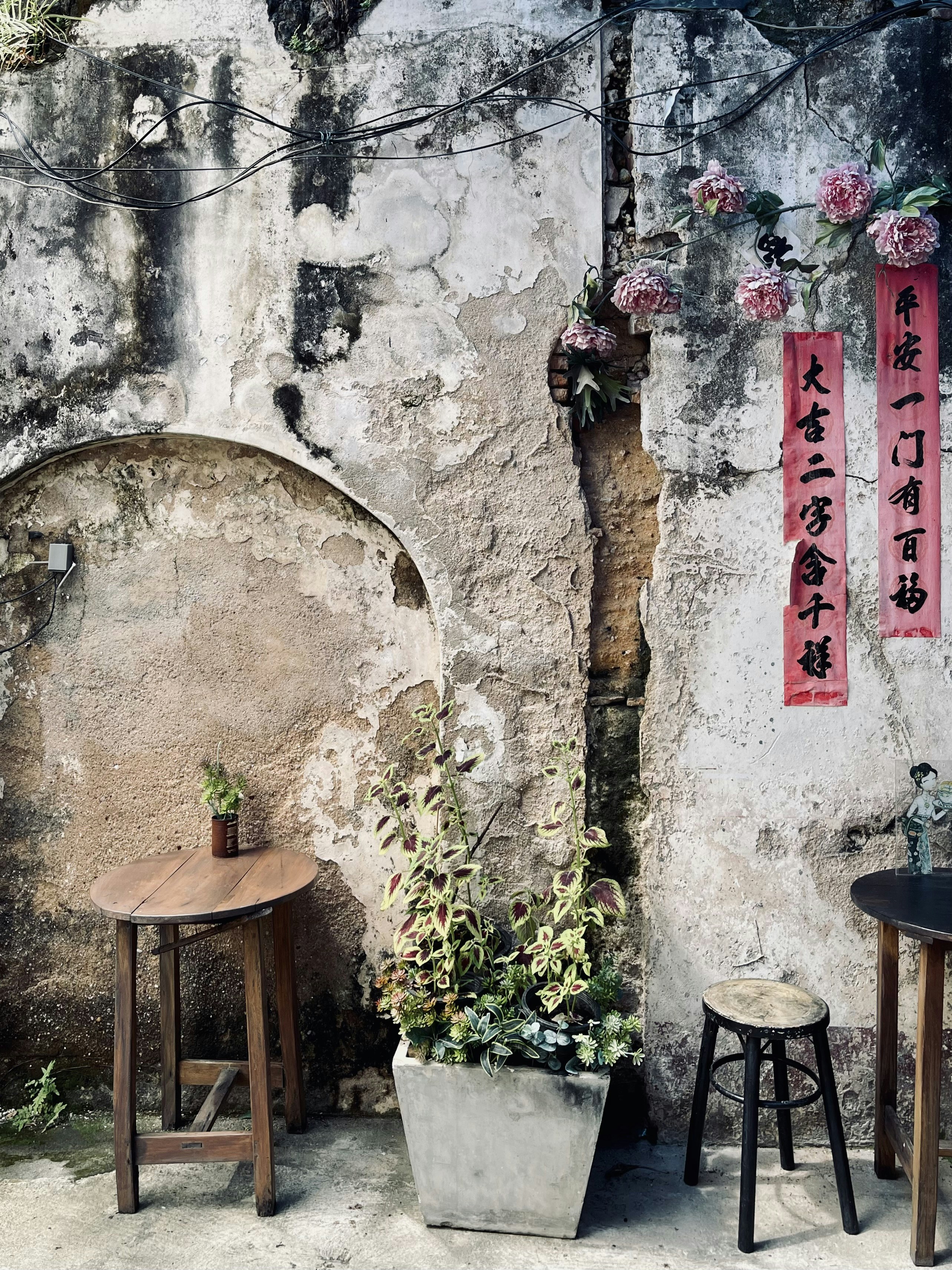 Patio Still Life Beneath Weathered Wall