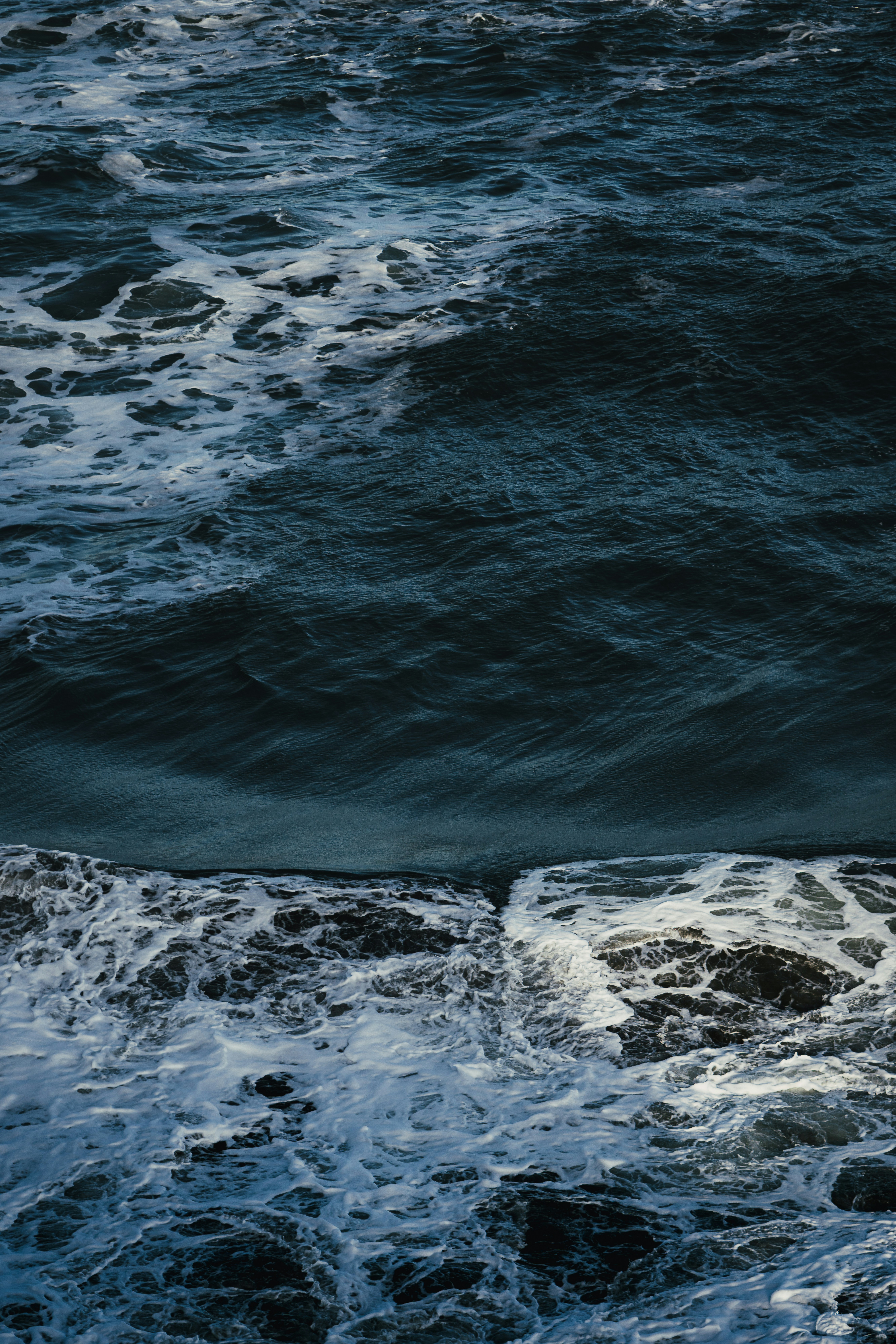 Foto Un pájaro parado sobre una roca en el océano – Imagen San ...