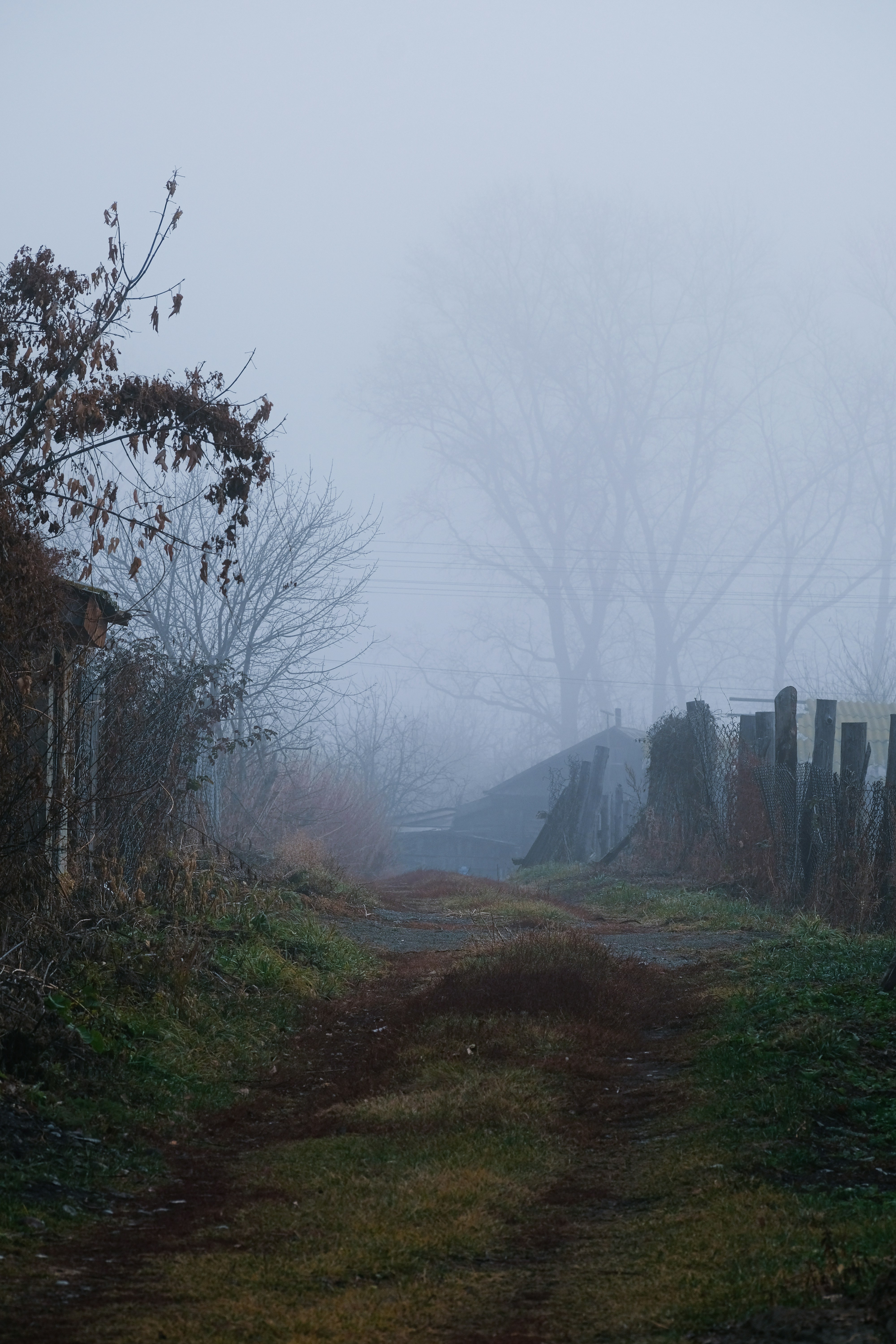 Fogbound Lane: A Quiet Path Toward Distant Structures