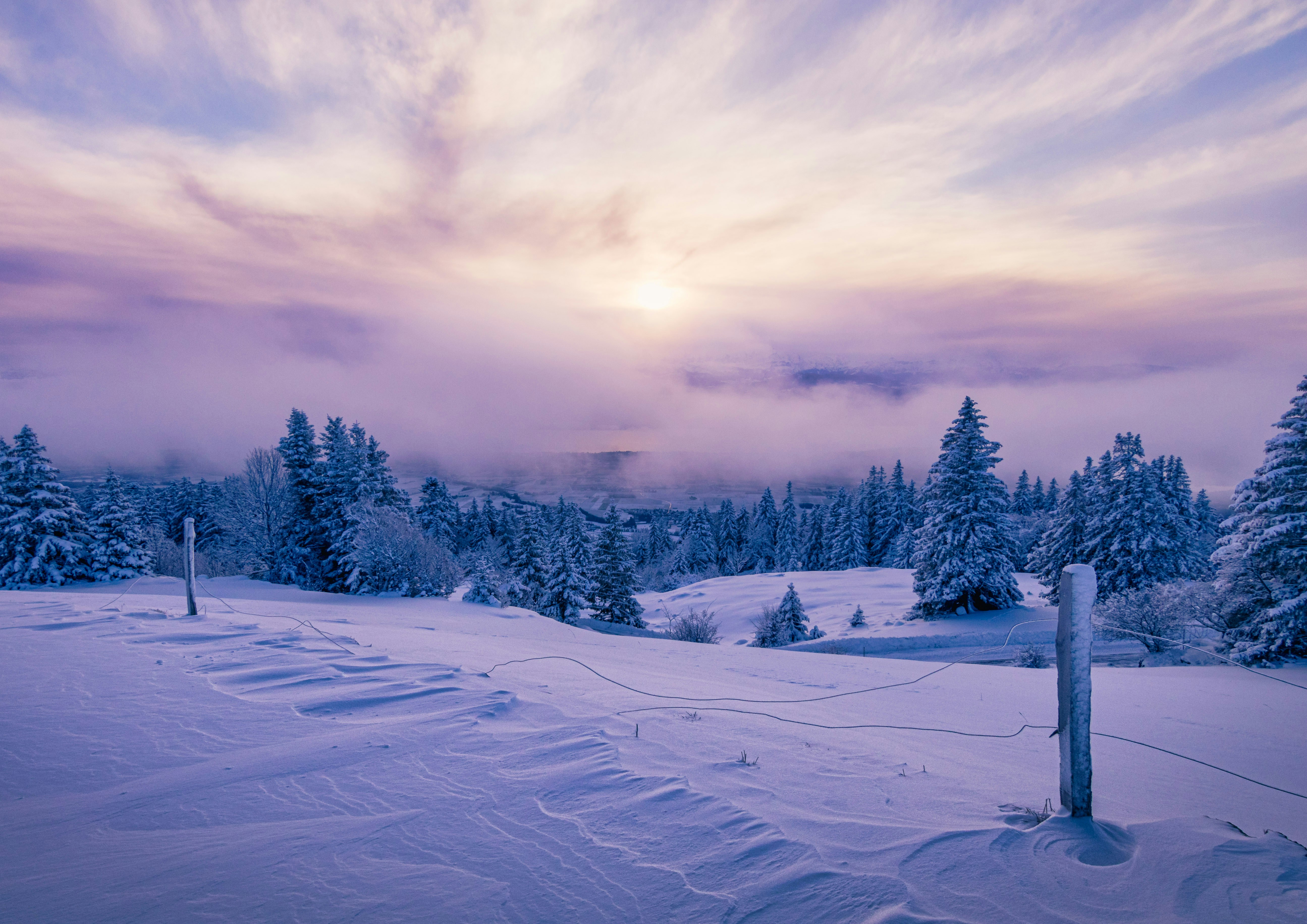 A snowy landscape with trees and clouds in the background photo – Free ...