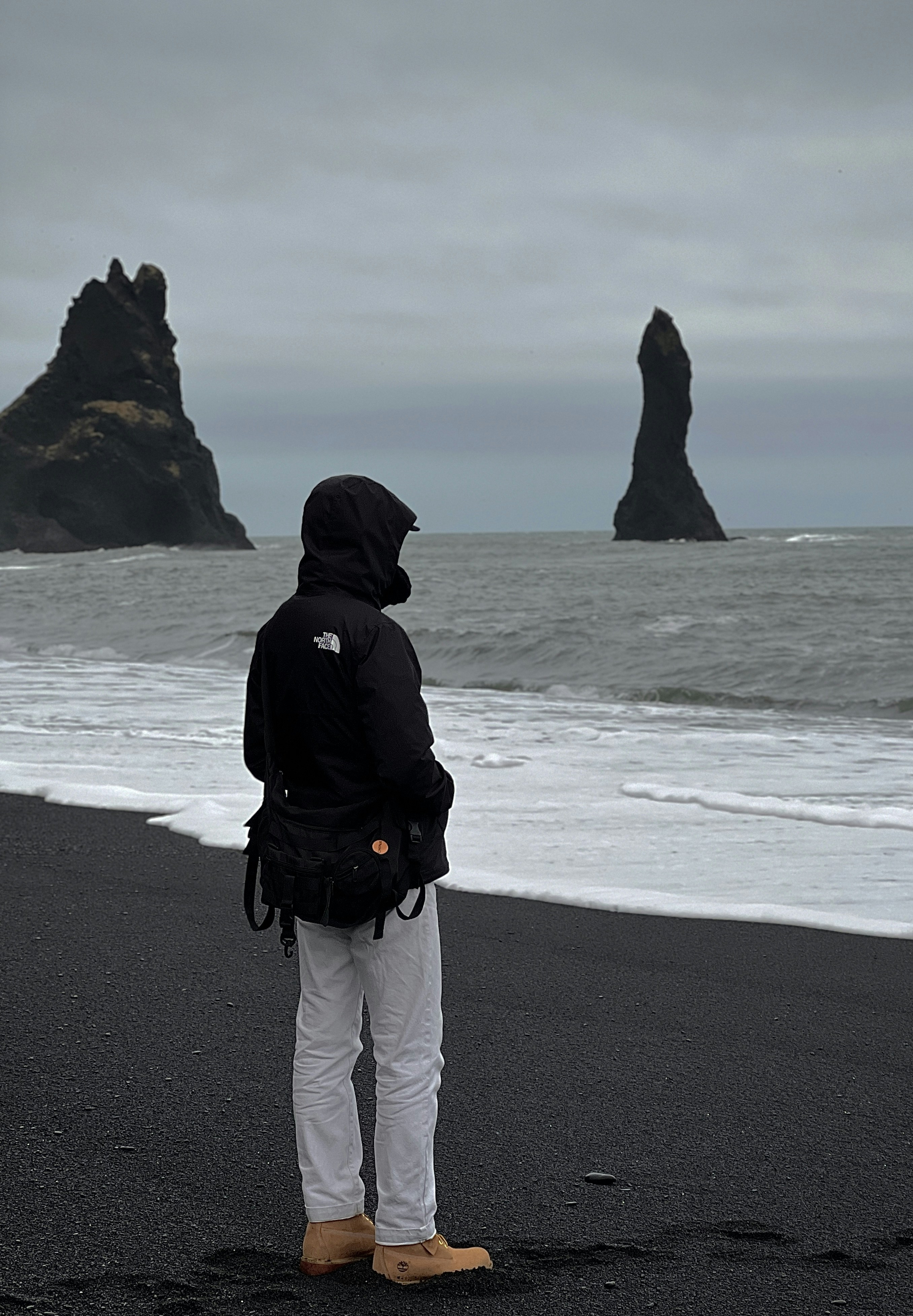 A Quiet Stance Before Twin Sea Stacks on Black Sand Beach