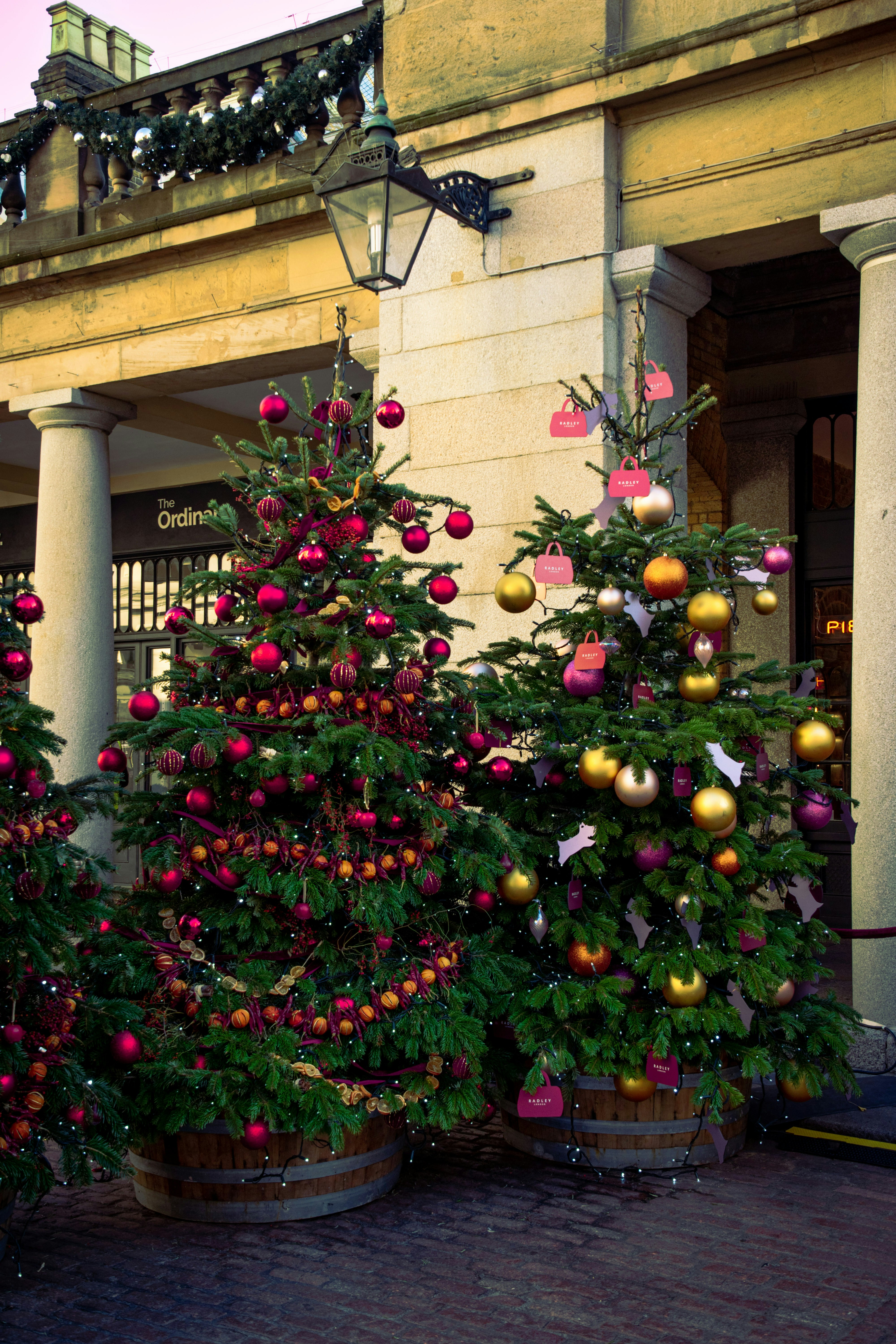 Ornamented Arcadia: Christmas Trees Framing a Sunlit Storefront