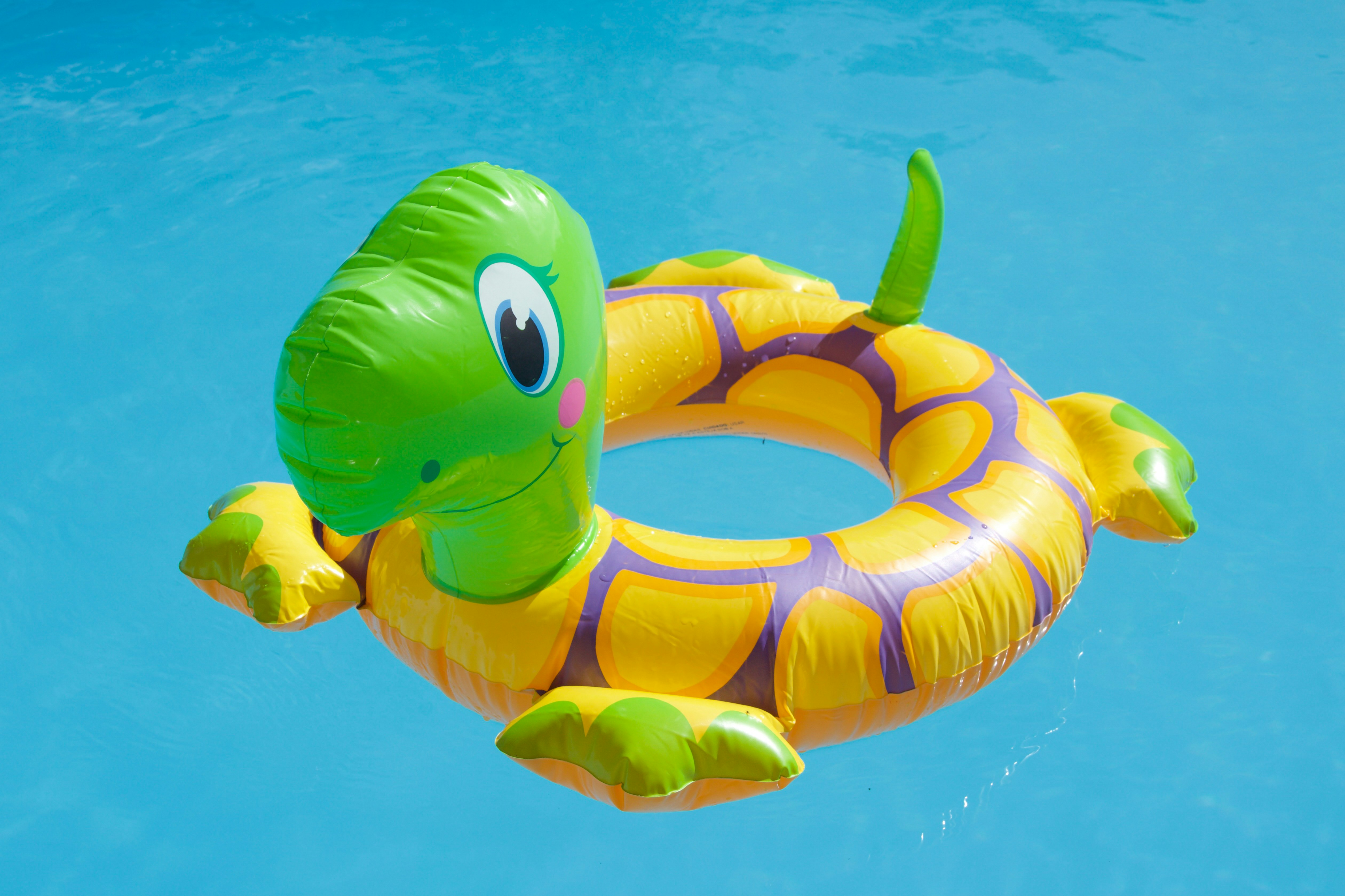 An inflatable turtle swimming in a pool photo – Free Denmark Image on ...