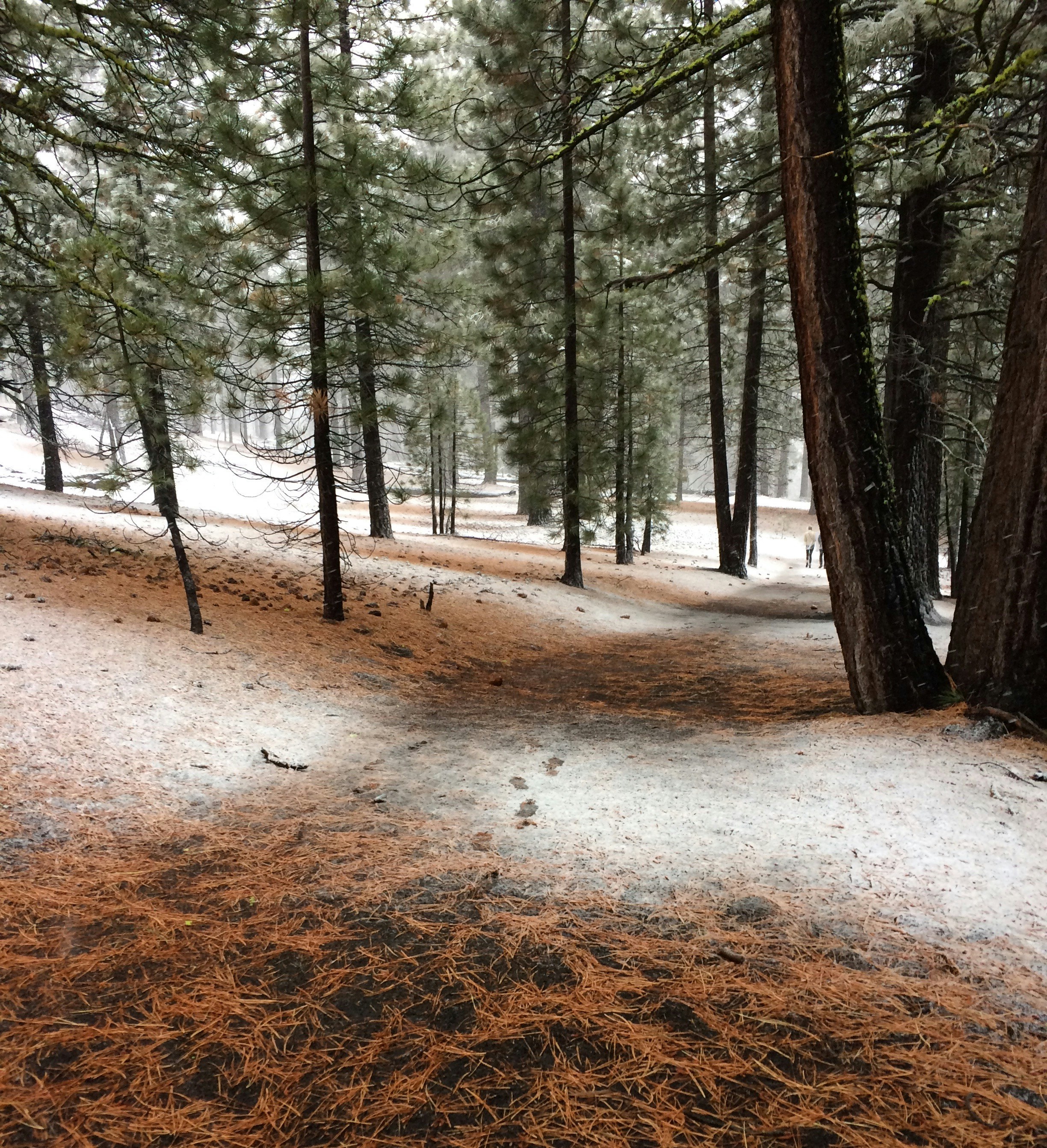 Photo by Yana Marudova with Apple iPhone 5s