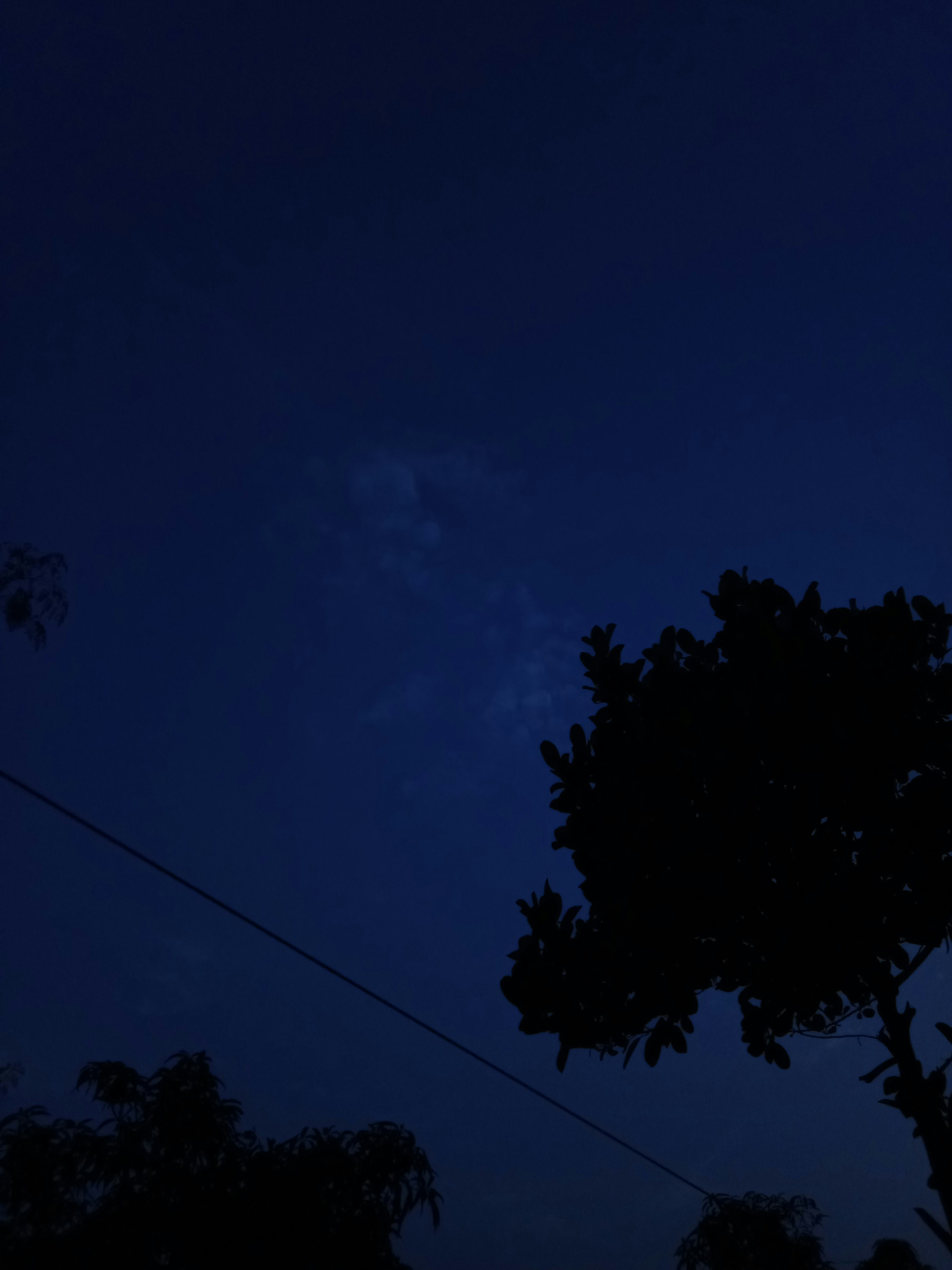 a tree is silhouetted against the night sky