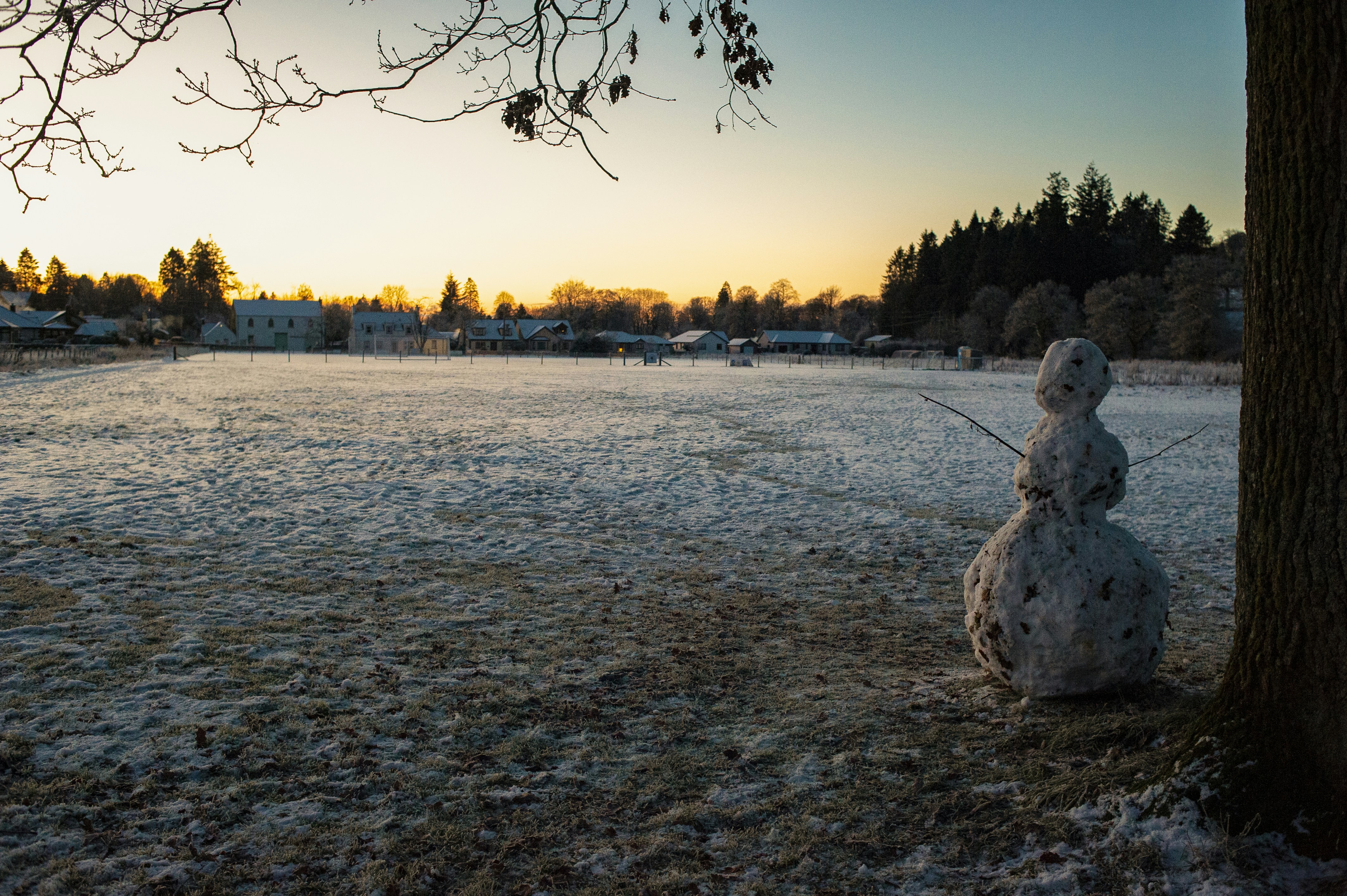 Un campo helado con un árbol y un muñeco de nieve foto – Imagen de ...