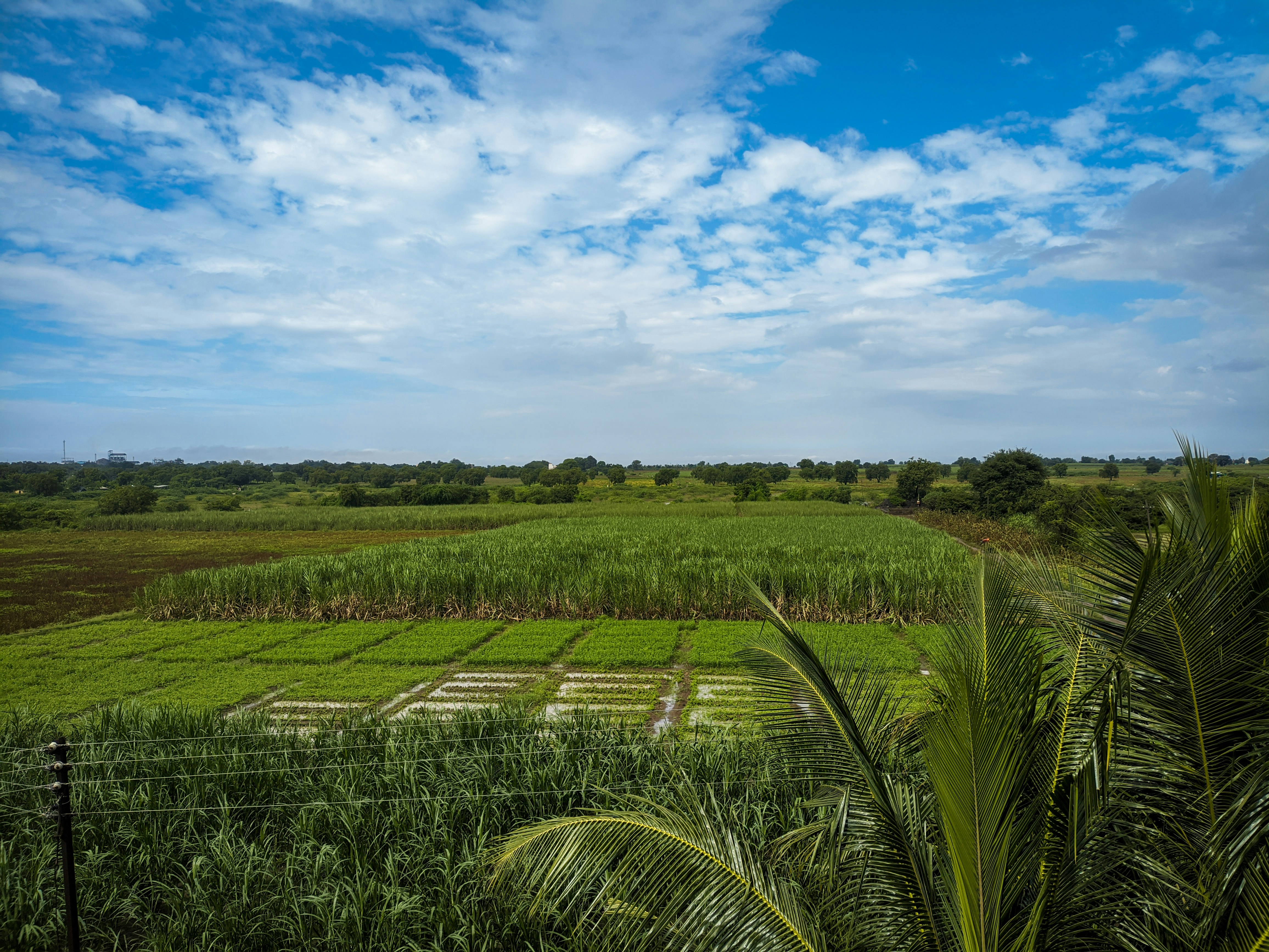 Vast green fields stretch under a dynamic sky, showcasing a rural agricultural landscape with rich textures and patterns.