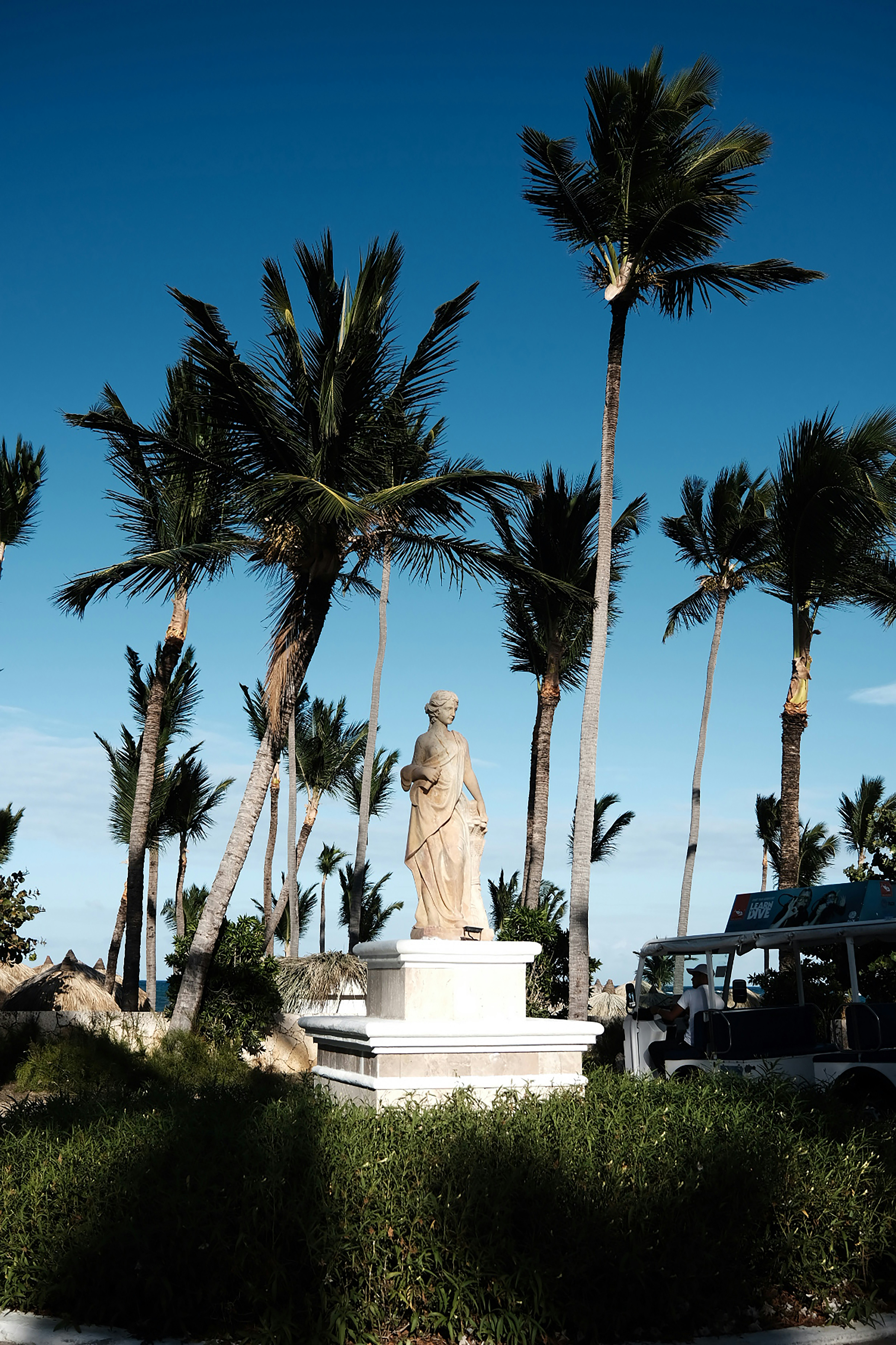 A marble statue stands gracefully among tall palm trees, casting shadows on lush greenery. The bright blue sky enhances the serene tropical atmosphere.