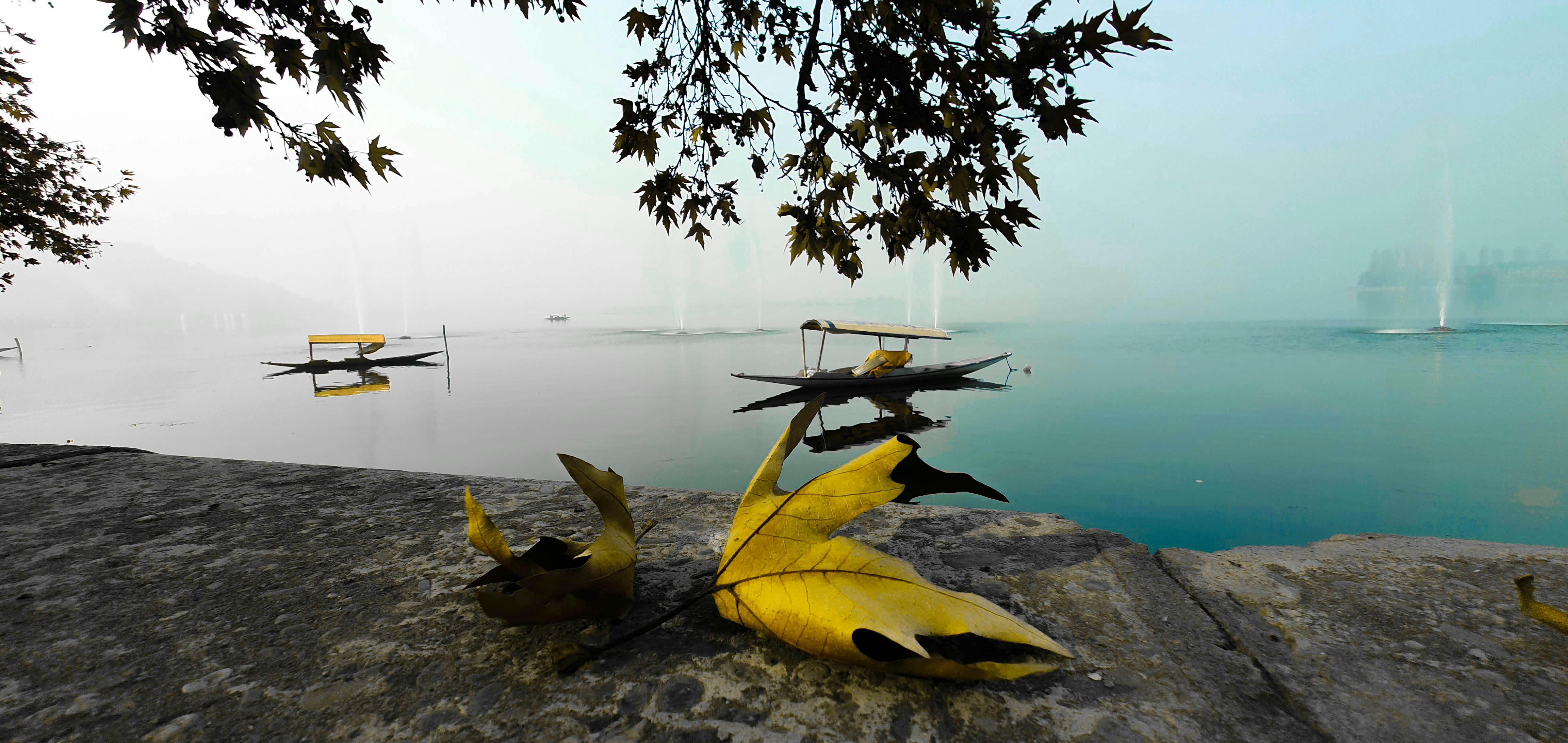 Yellow leaves on a stone ledge overlooking calm waters with boats in the misty distance.