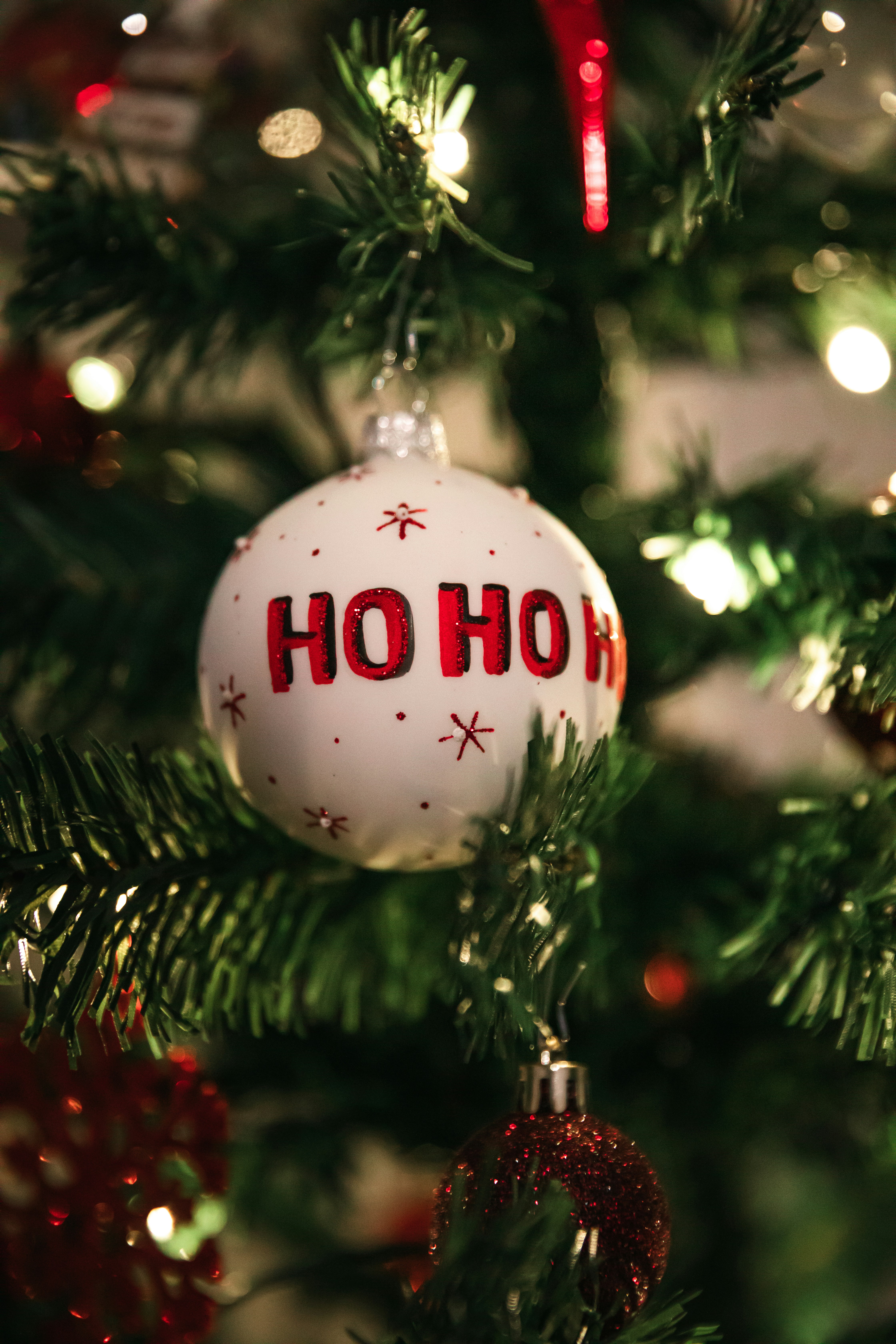 Ho Ho Ho on the Tree: A Quiet Moment Under Warm Lights
