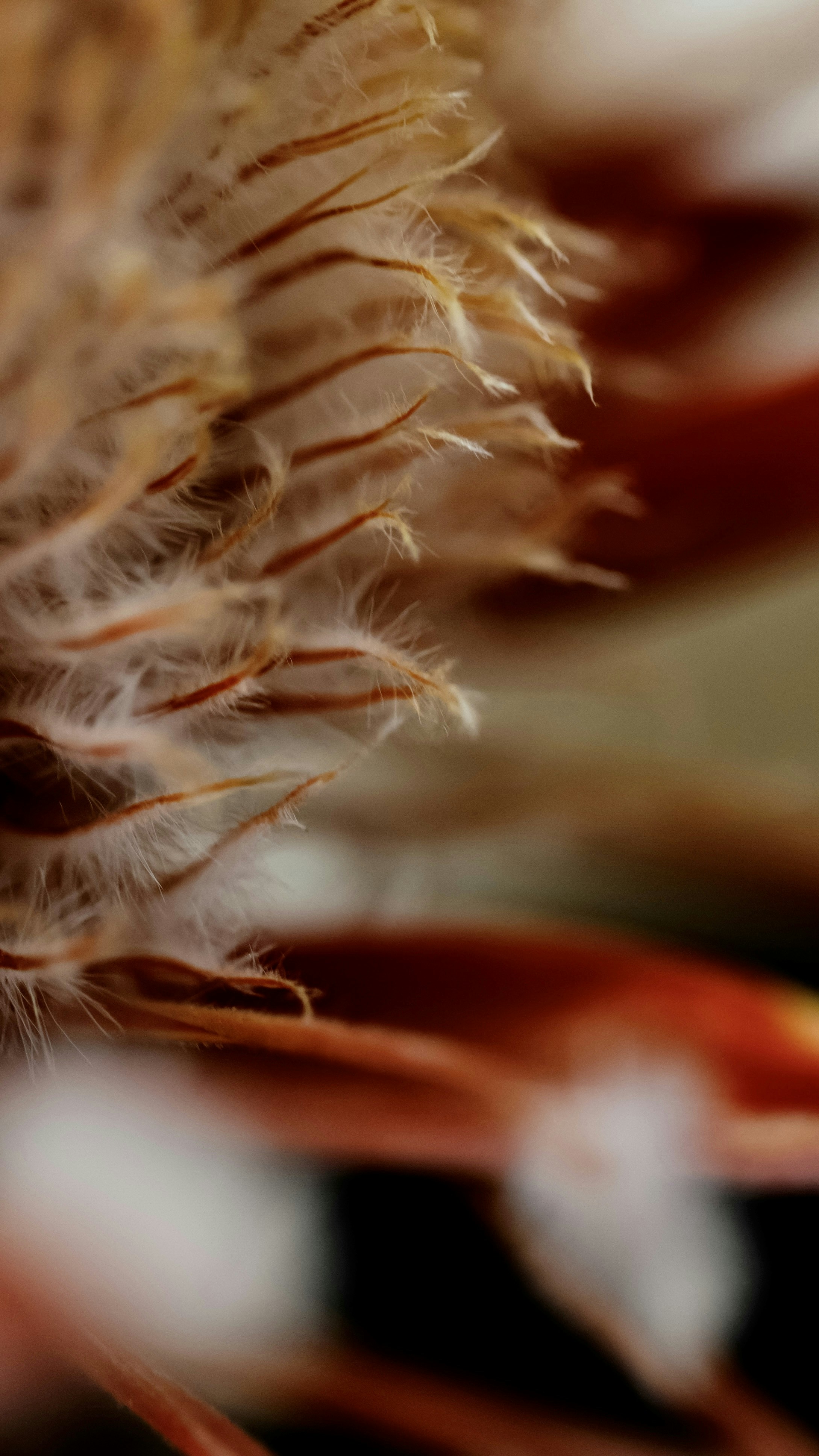 Photo by DL314 Lin with Canon EOS R5