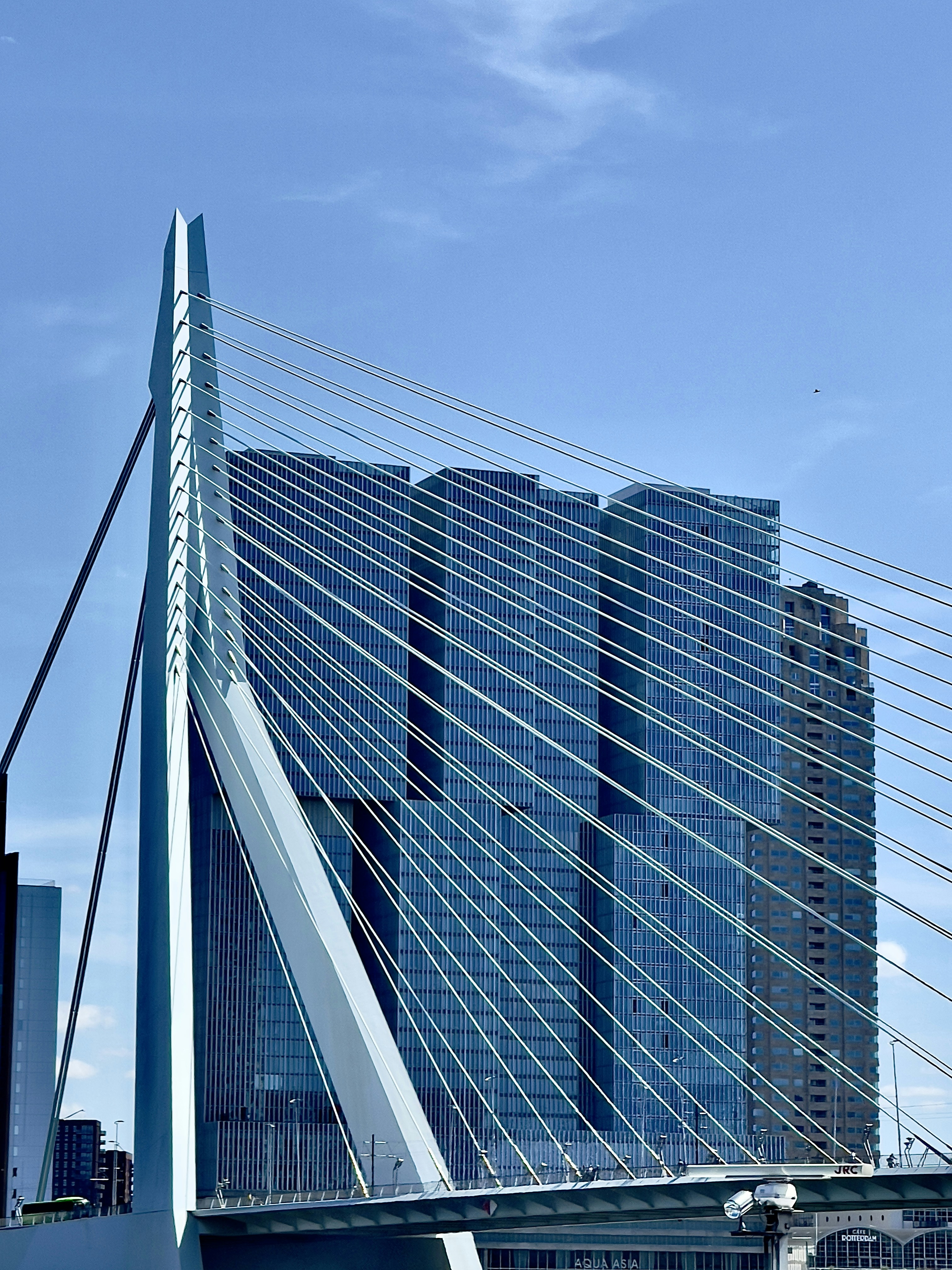 White Pylon, Blue Sky: Geometry of a Cable-Stayed Skyline