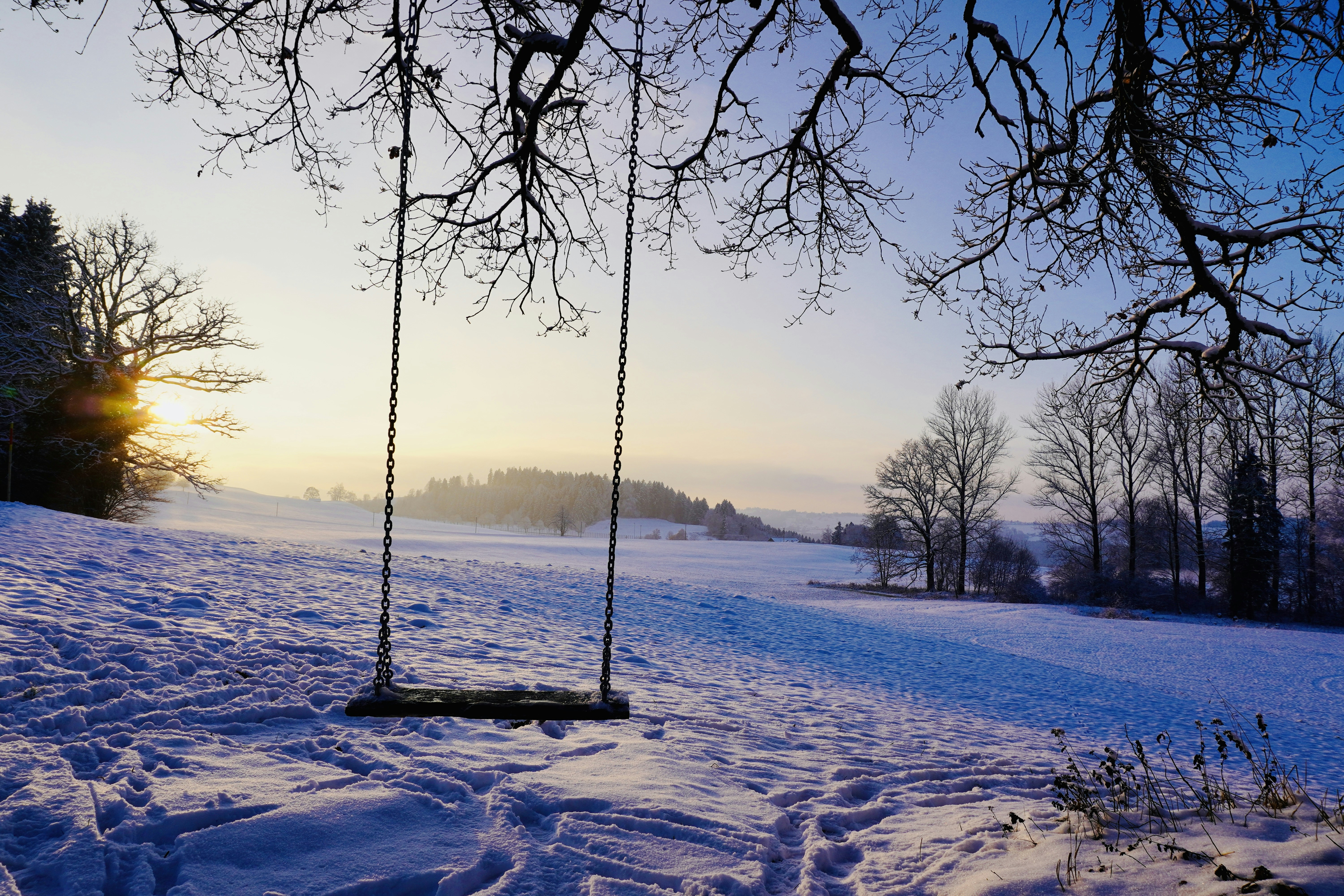 Foto Un columpio colgando de un árbol en la nieve – Imagen Algovia ...
