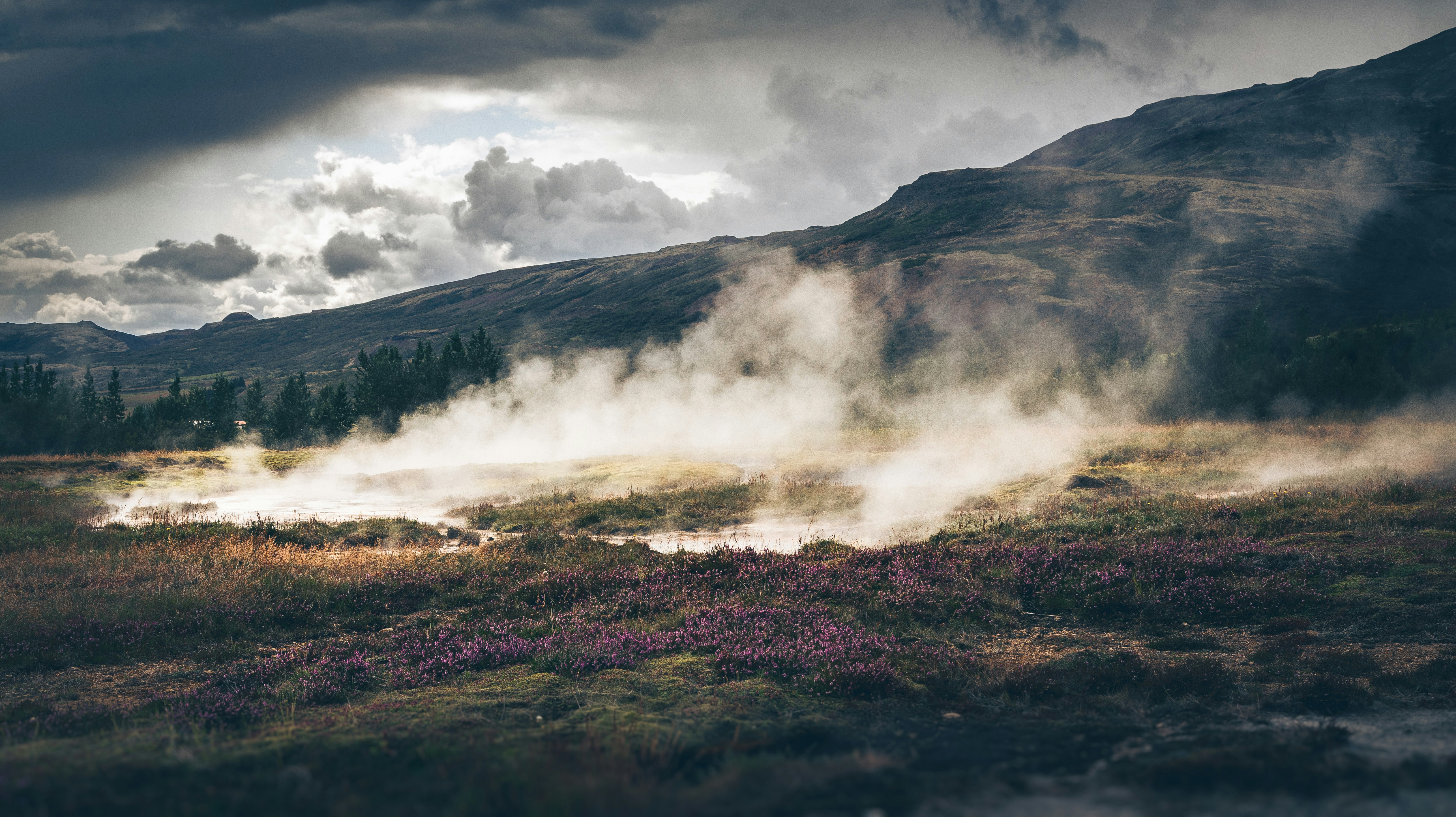Mist on the Moor: Heather, Fog, and a Distant Ridge