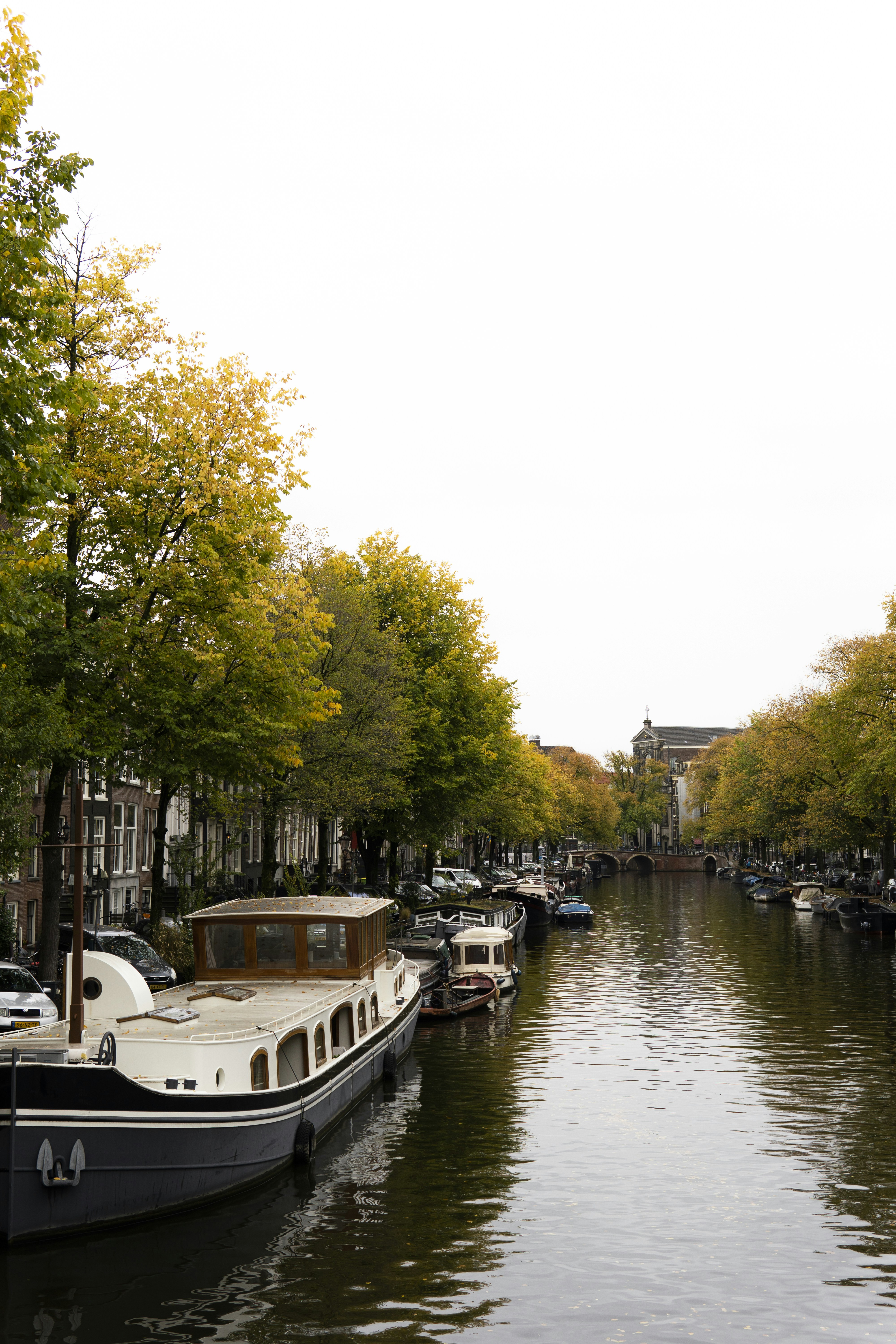 Photo by Lidia Nemiroff with SONY ZV-E10