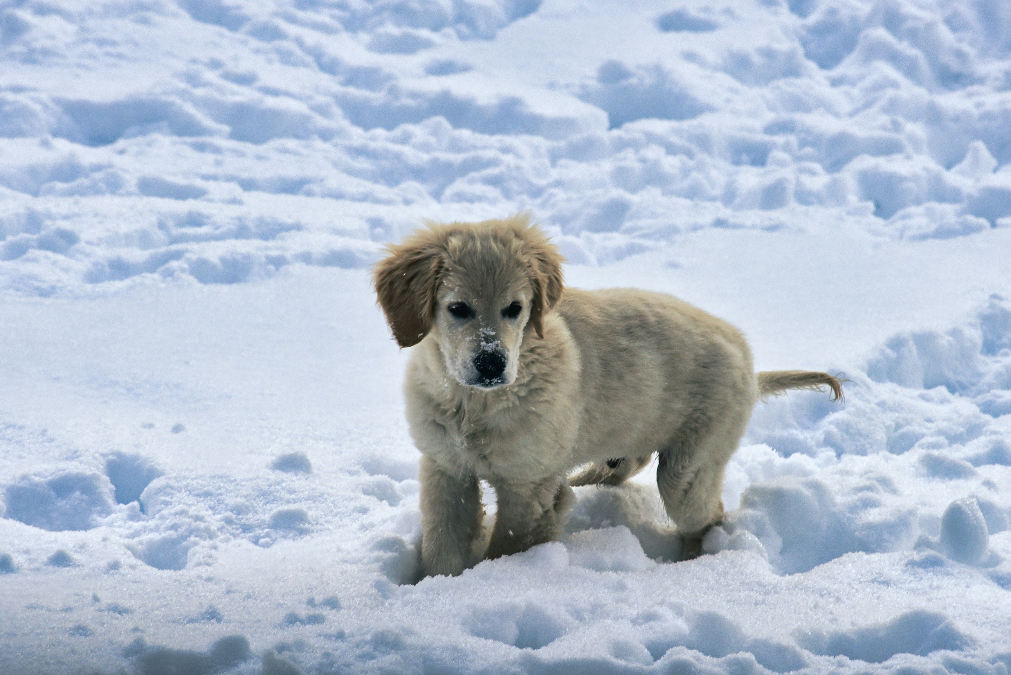 Photo by Piermario Eva with Nikon D750