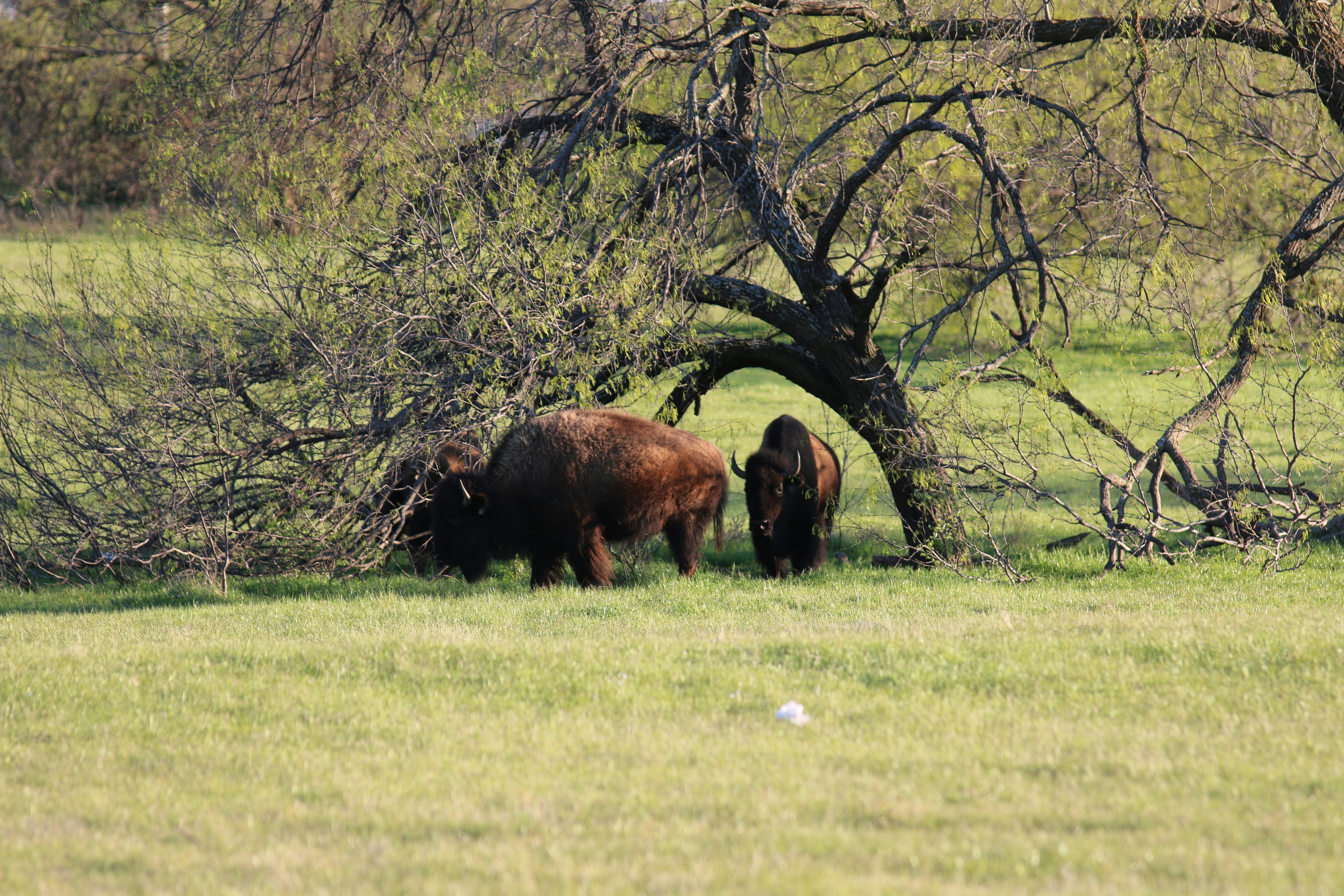 Photo by Richard R with Canon EOS 70D