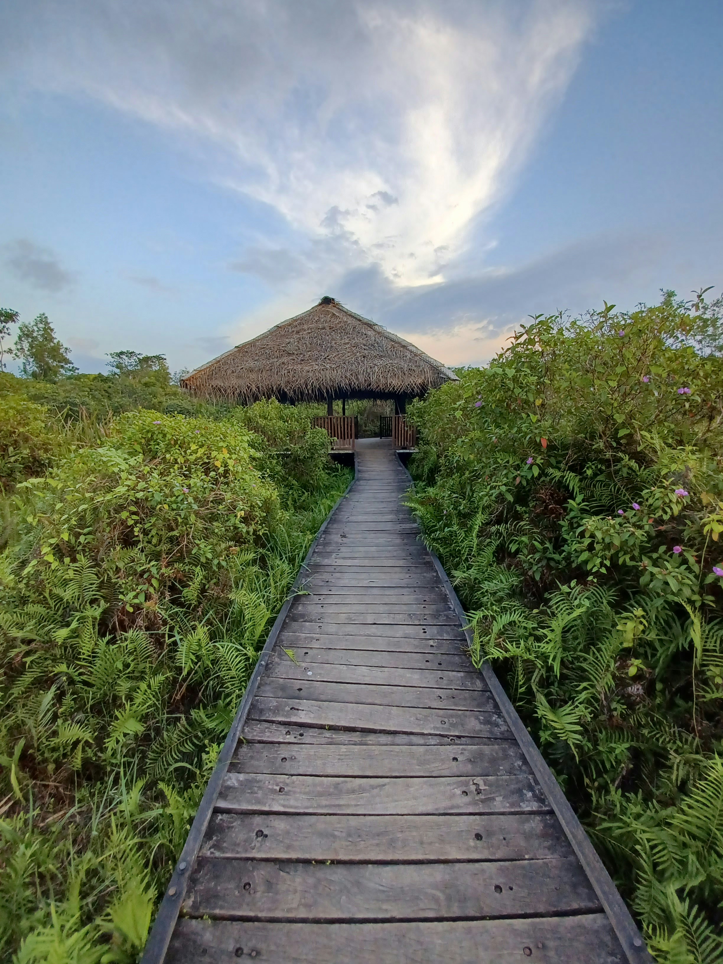 A wooden walkway leading to a thatched roof hut photo – Free Hut Image ...