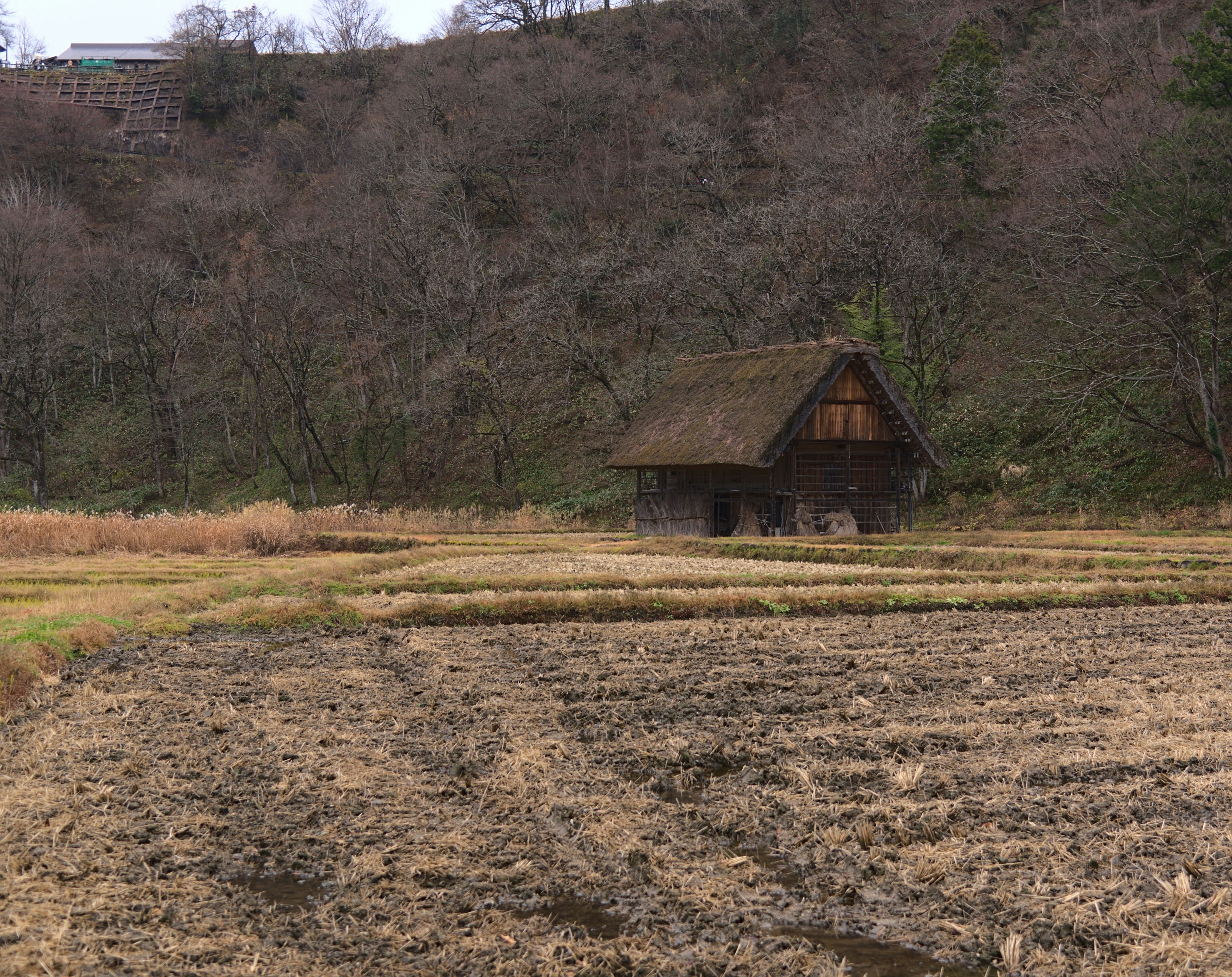 A barn in the middle of a field with trees in the background photo ...