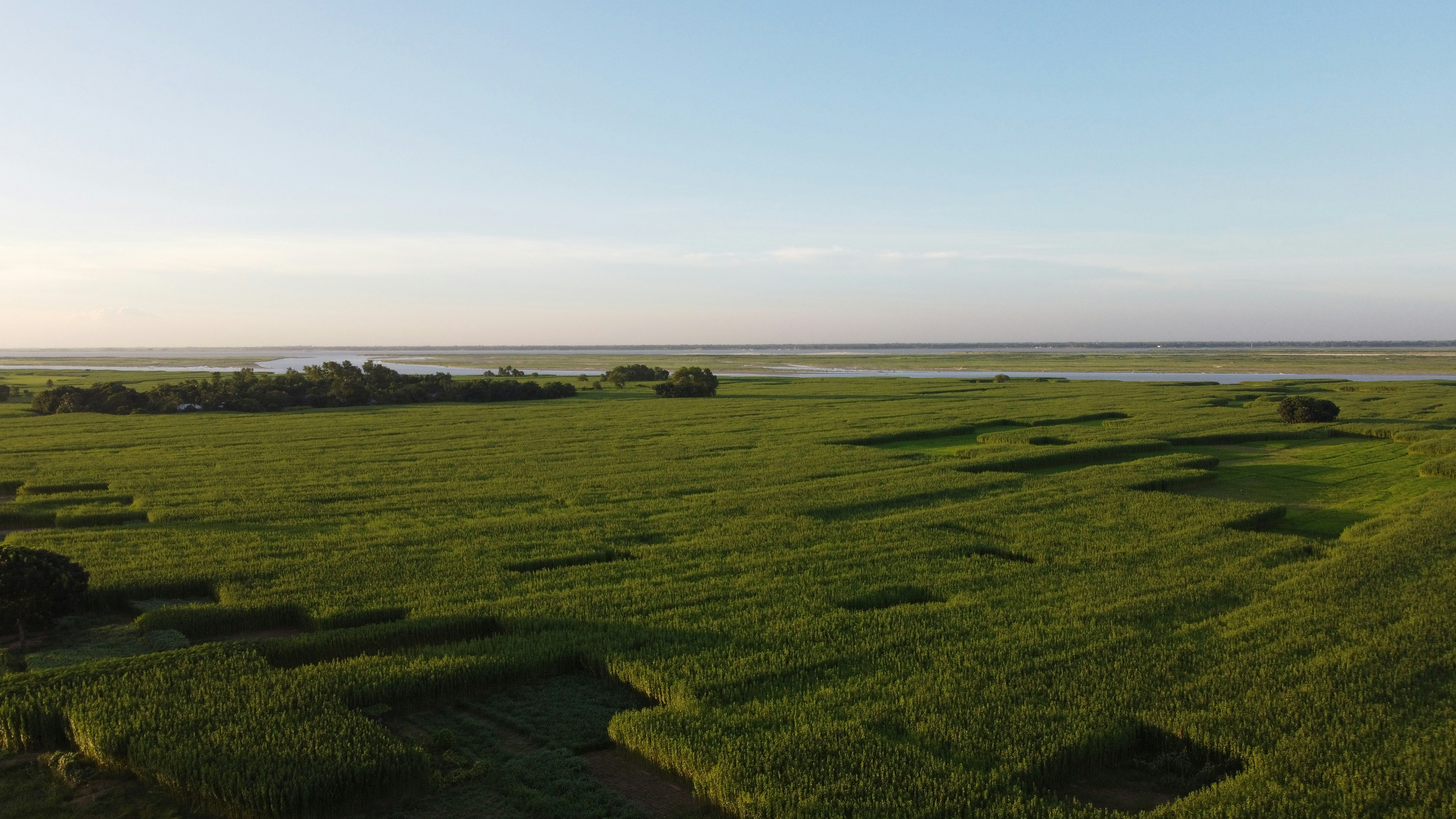 Patchwork Marshes Under a Quiet Coastal Horizon