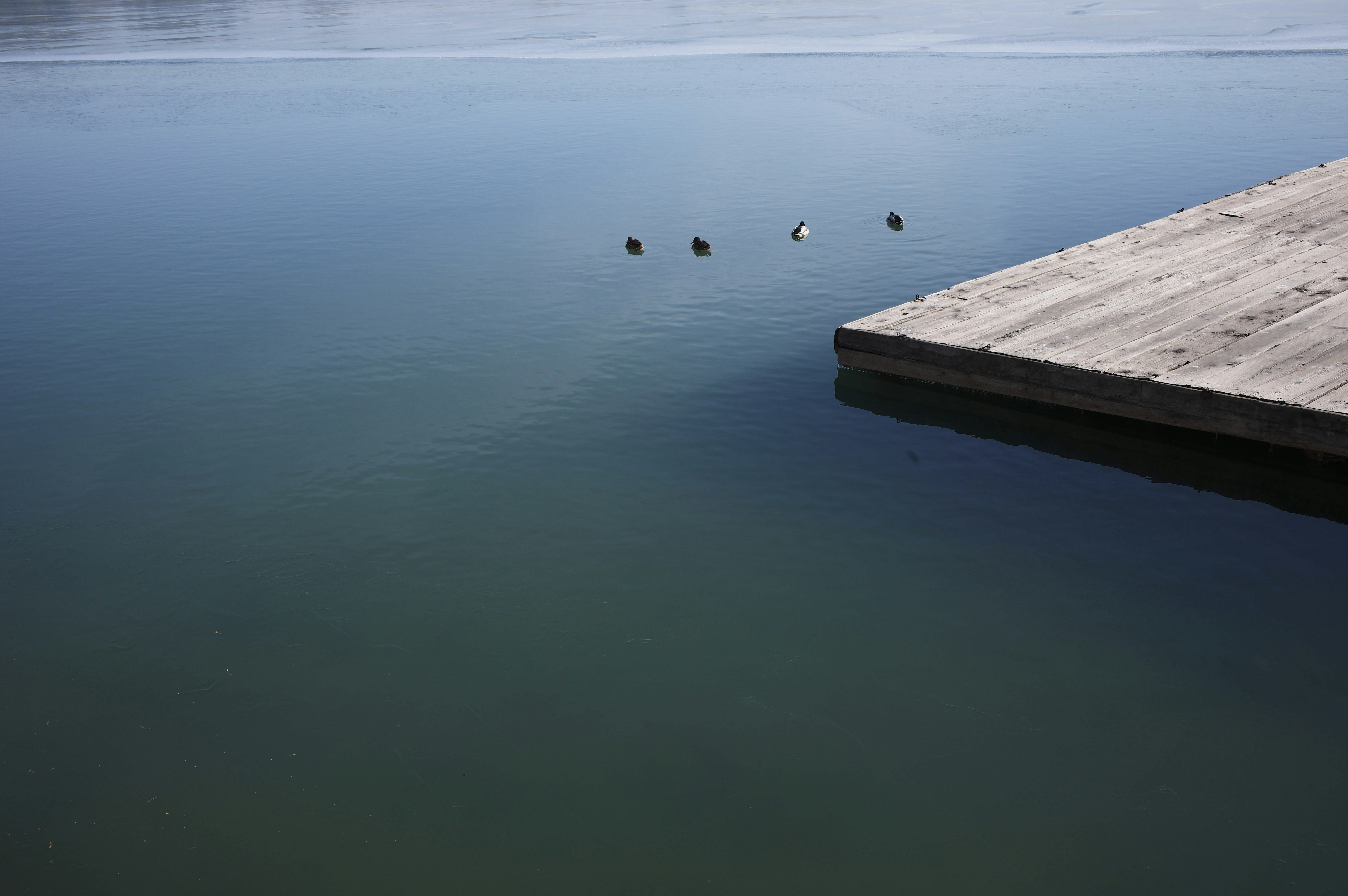 Serenity on the Water's Edge