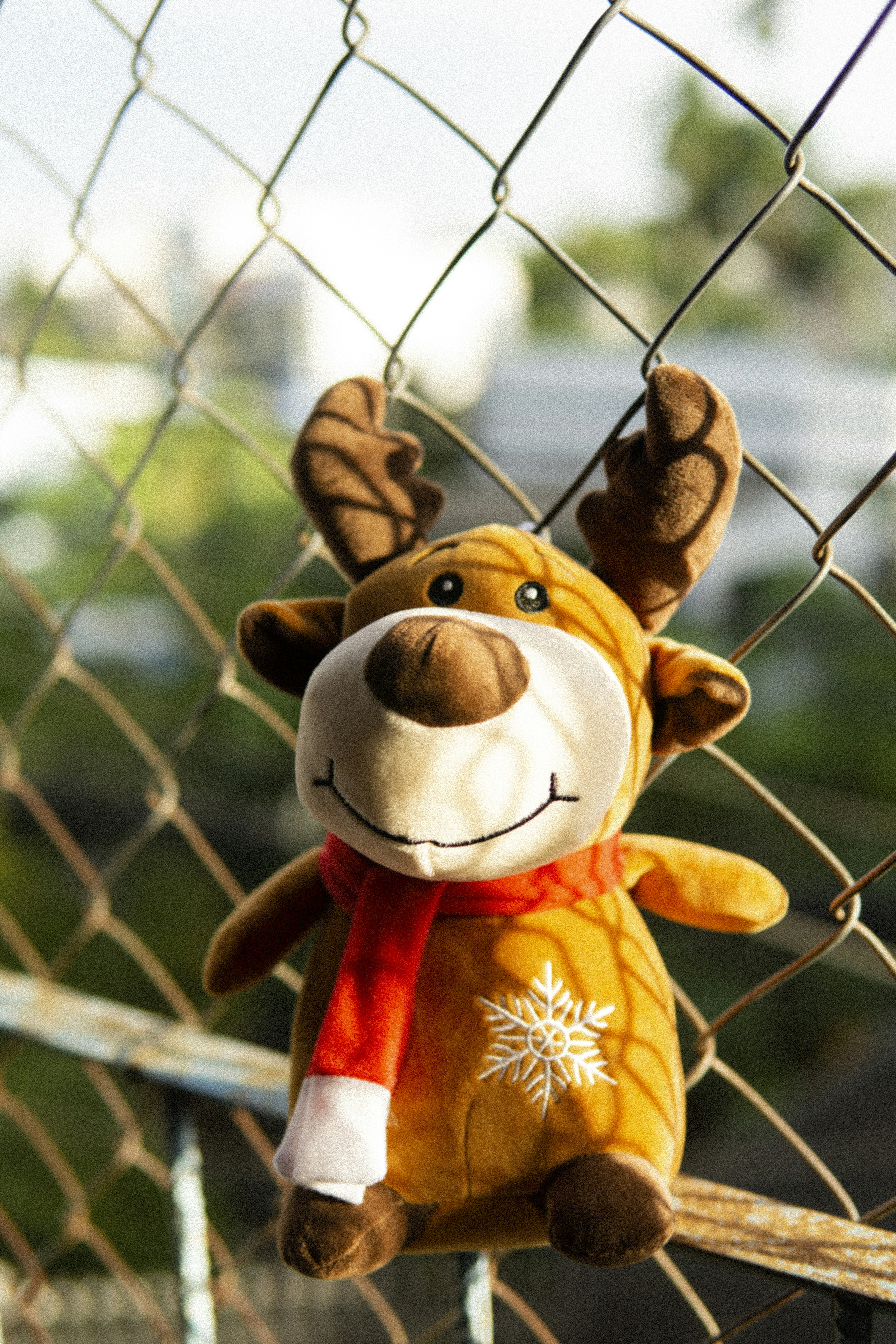 A stuffed animal hanging on a chain link fence photo – Free Plush Image ...