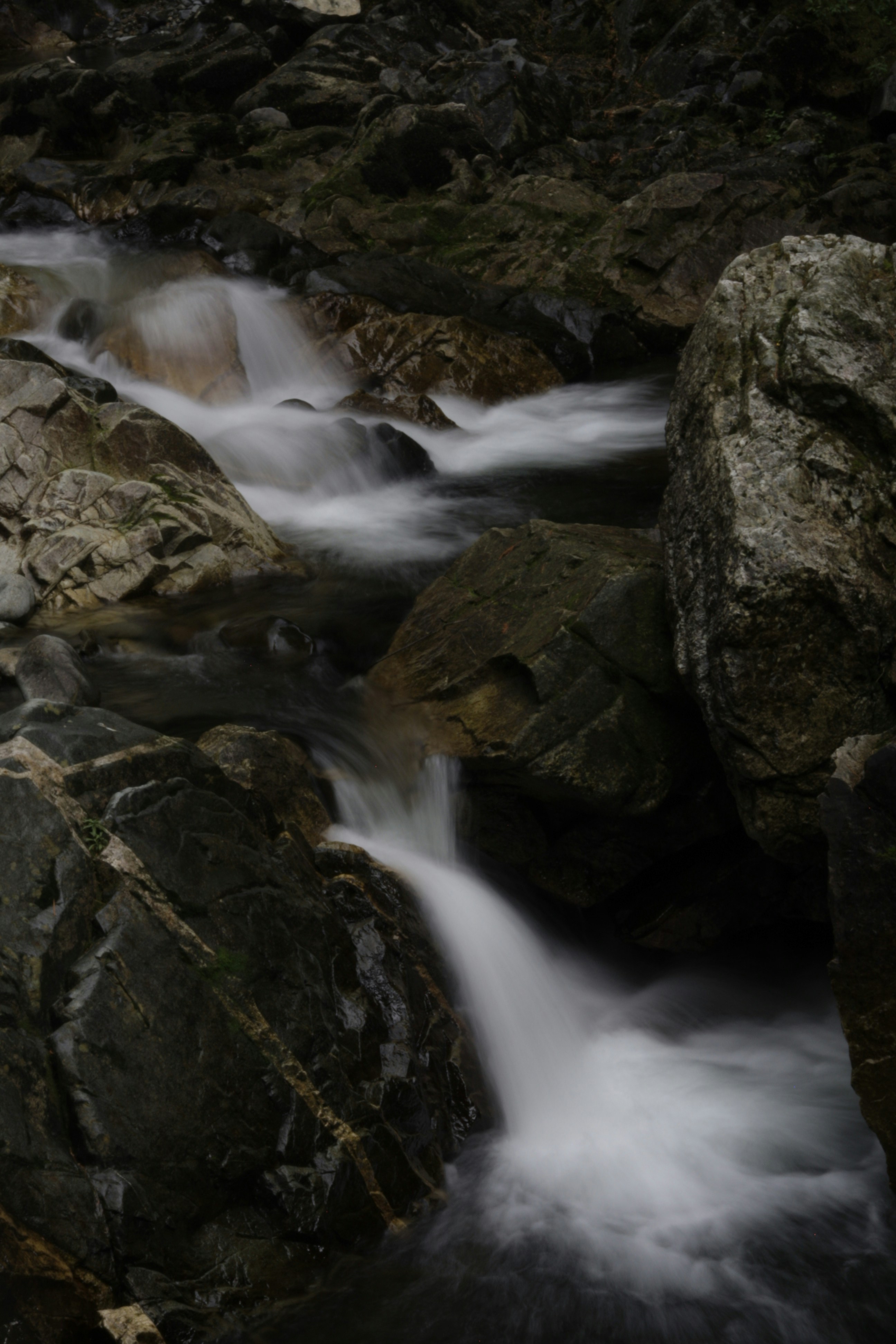 A stream of water running over rocks in a forest photo – Free Grouse ...