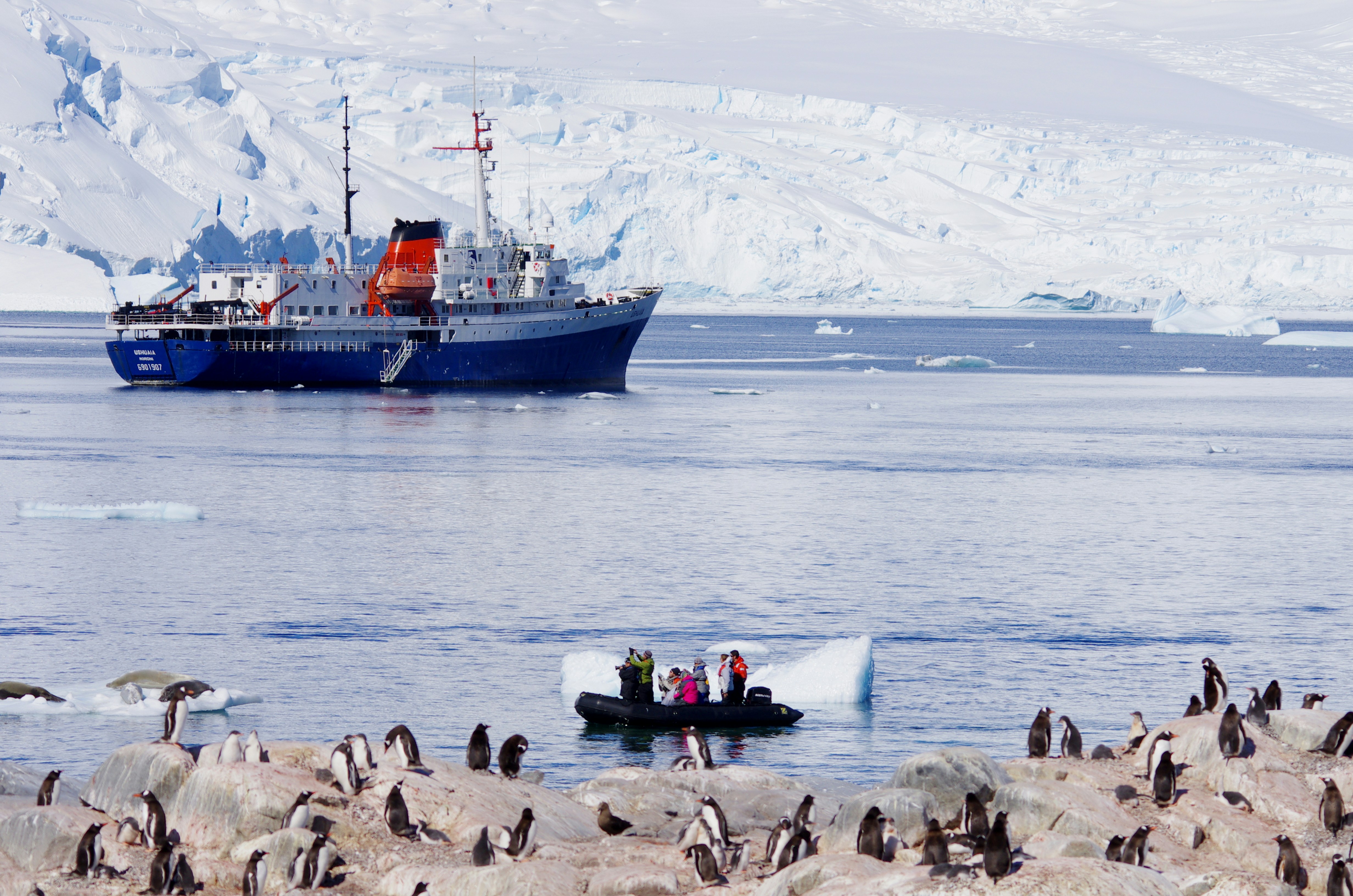 A group of penguins and a boat in a body of water photo – Free Animal ...