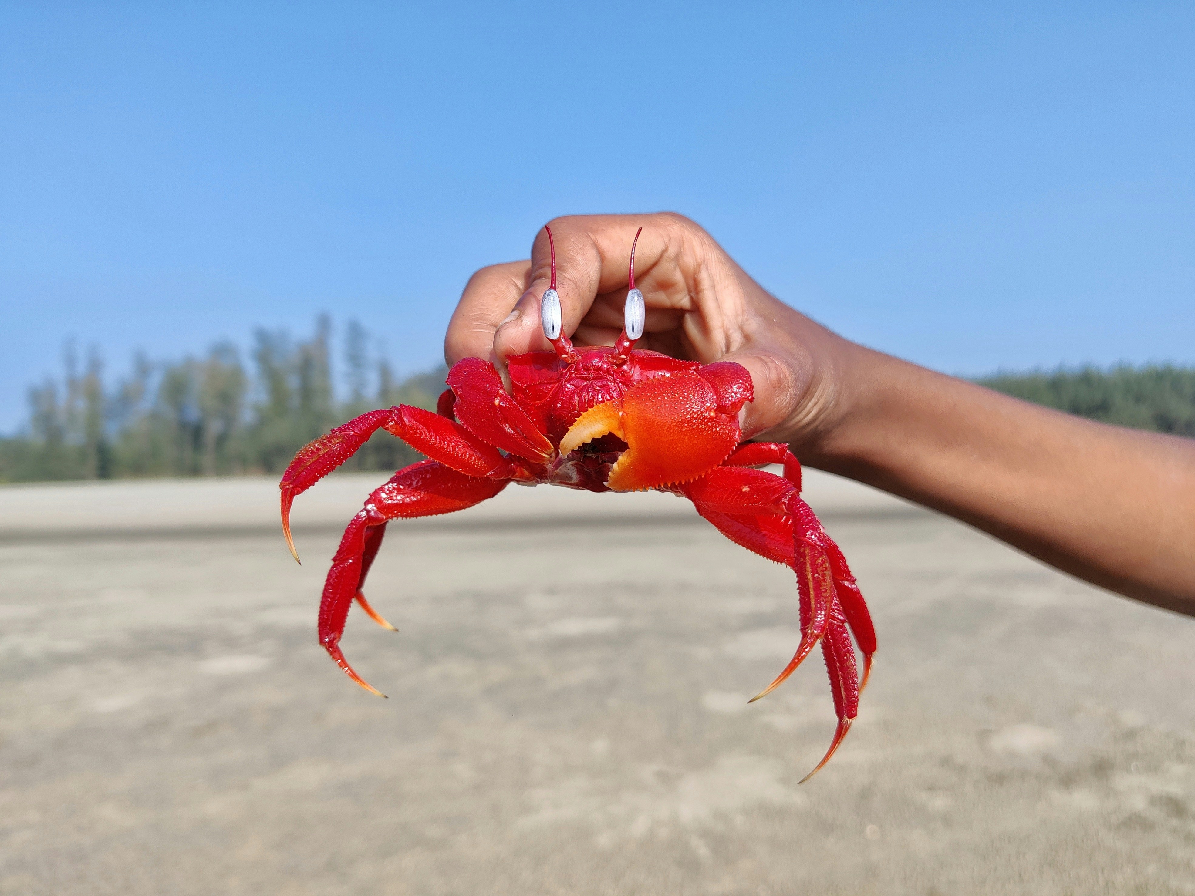 Saief Al Emon (@saiefalemon) | Unsplash Photo Community