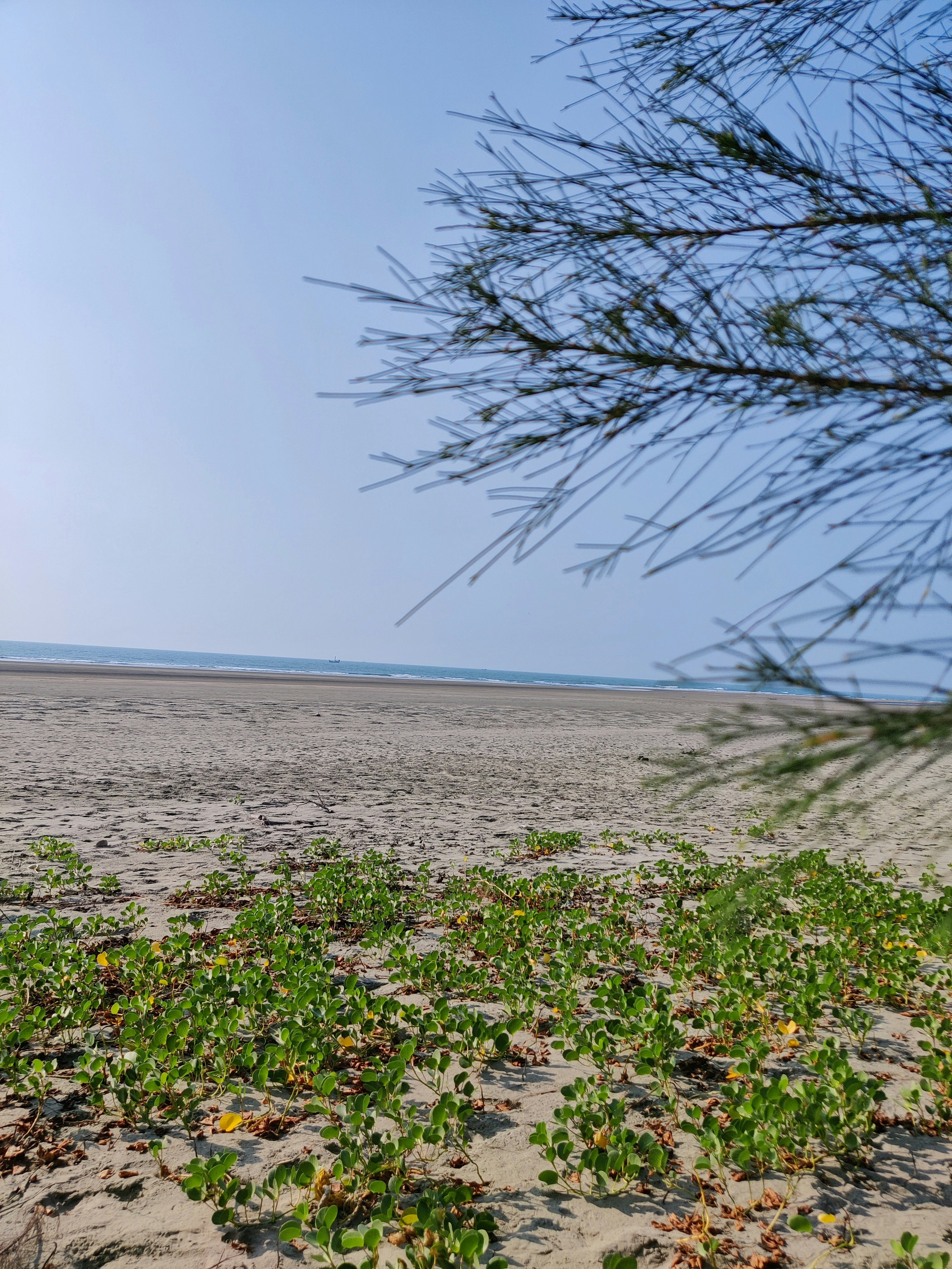 Saief Al Emon (@saiefalemon) | Comunidade de fotos da Unsplash