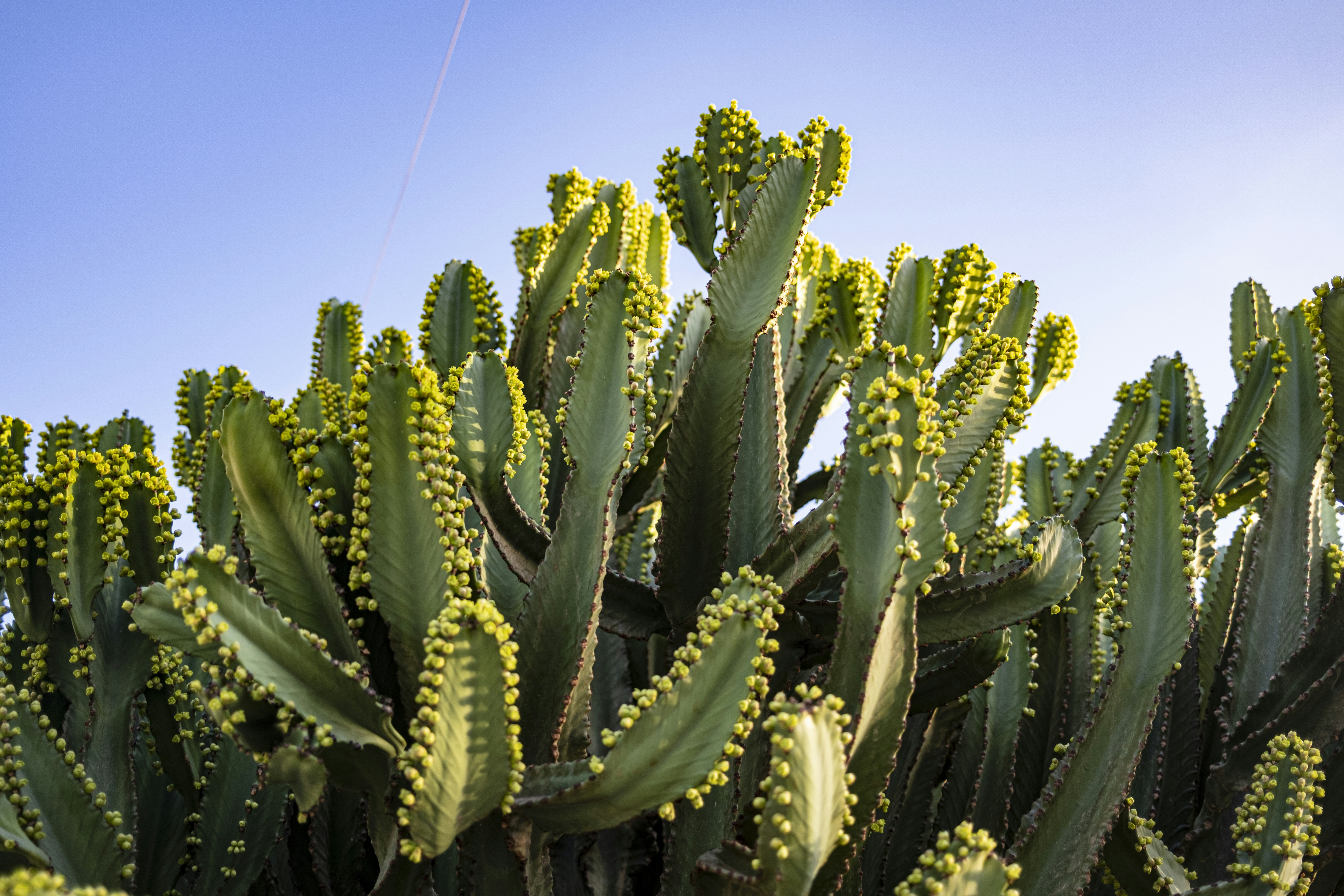 Photo by Mykola Kolya Korzh with Fujifilm X100V