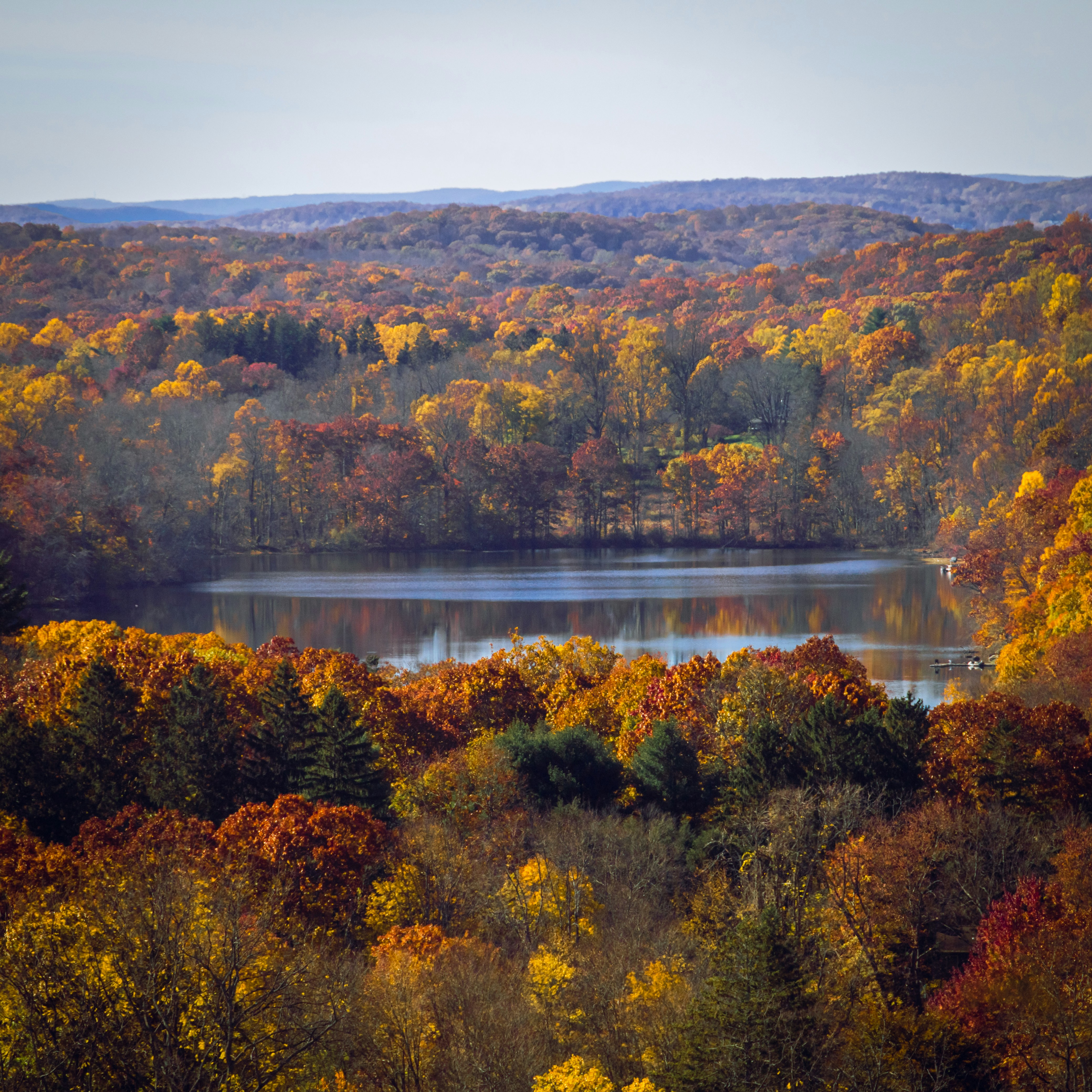 Let me know how you like my works :) | a lake surrounded by lots of trees in a forest