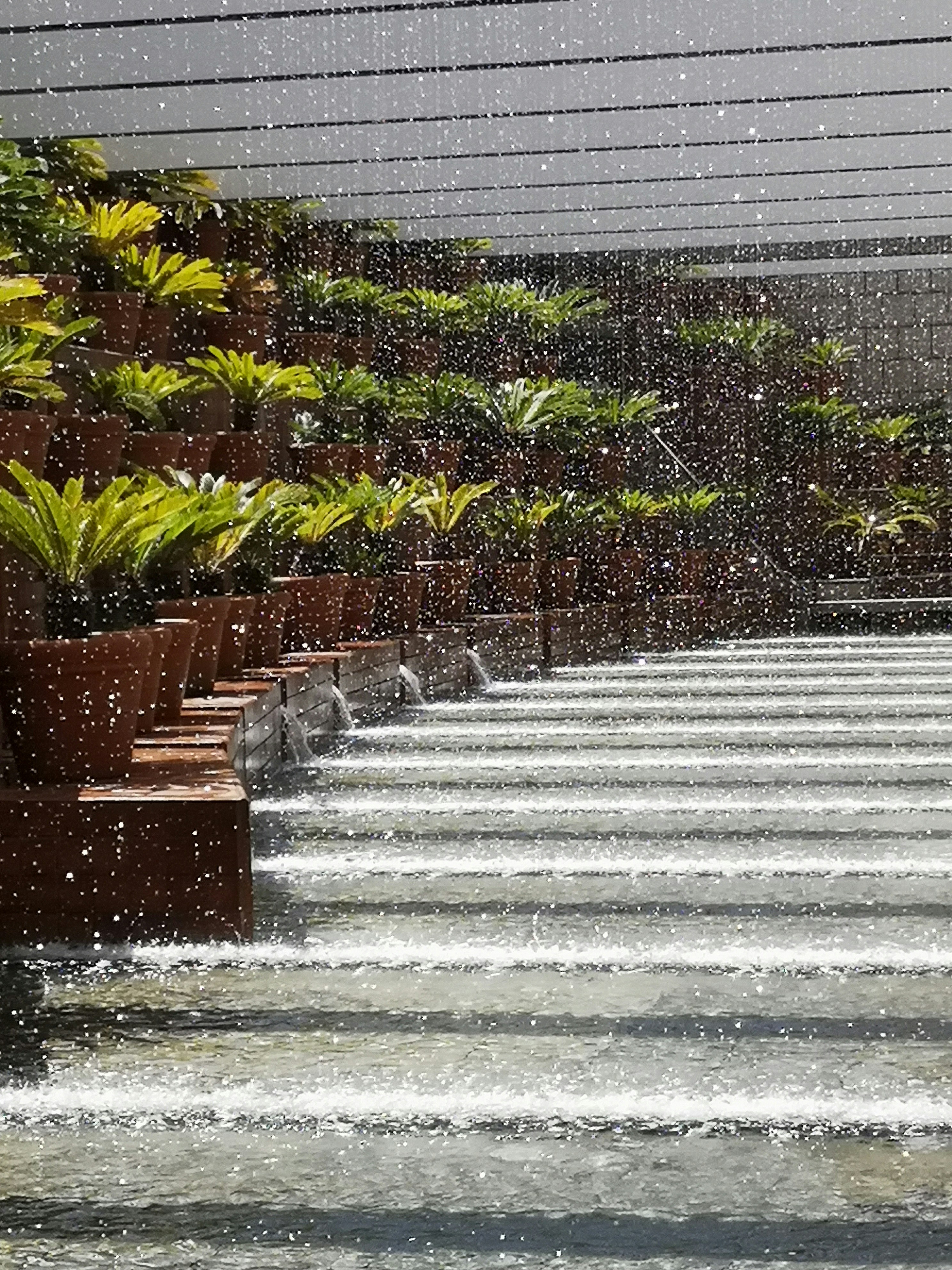 Terraced Oasis: Verdant Pots Framing a Cascading Water Stair