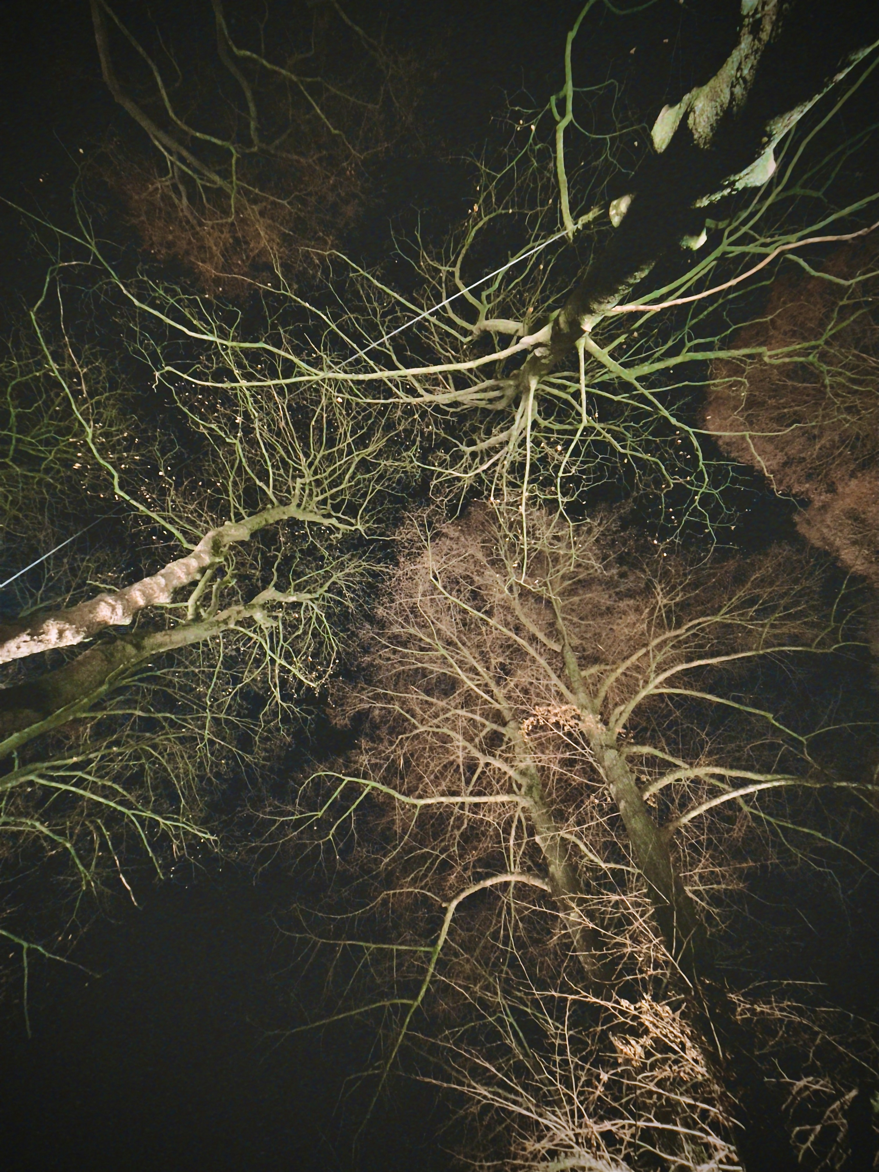 Photo by Christian Quadt with Apple iPhone 12 Pro Max