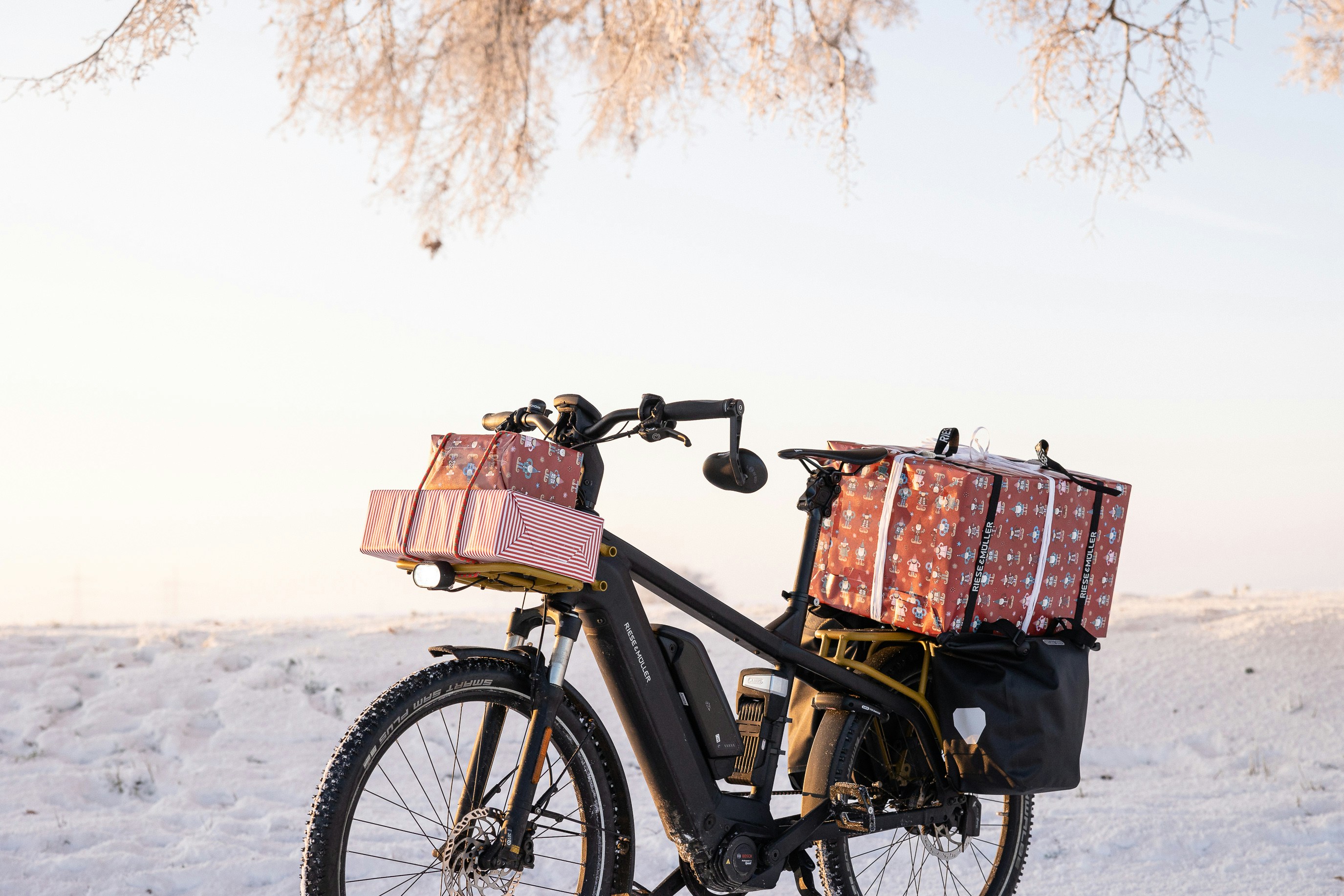 Cargo bicycle in a snowy landscape ready for travel