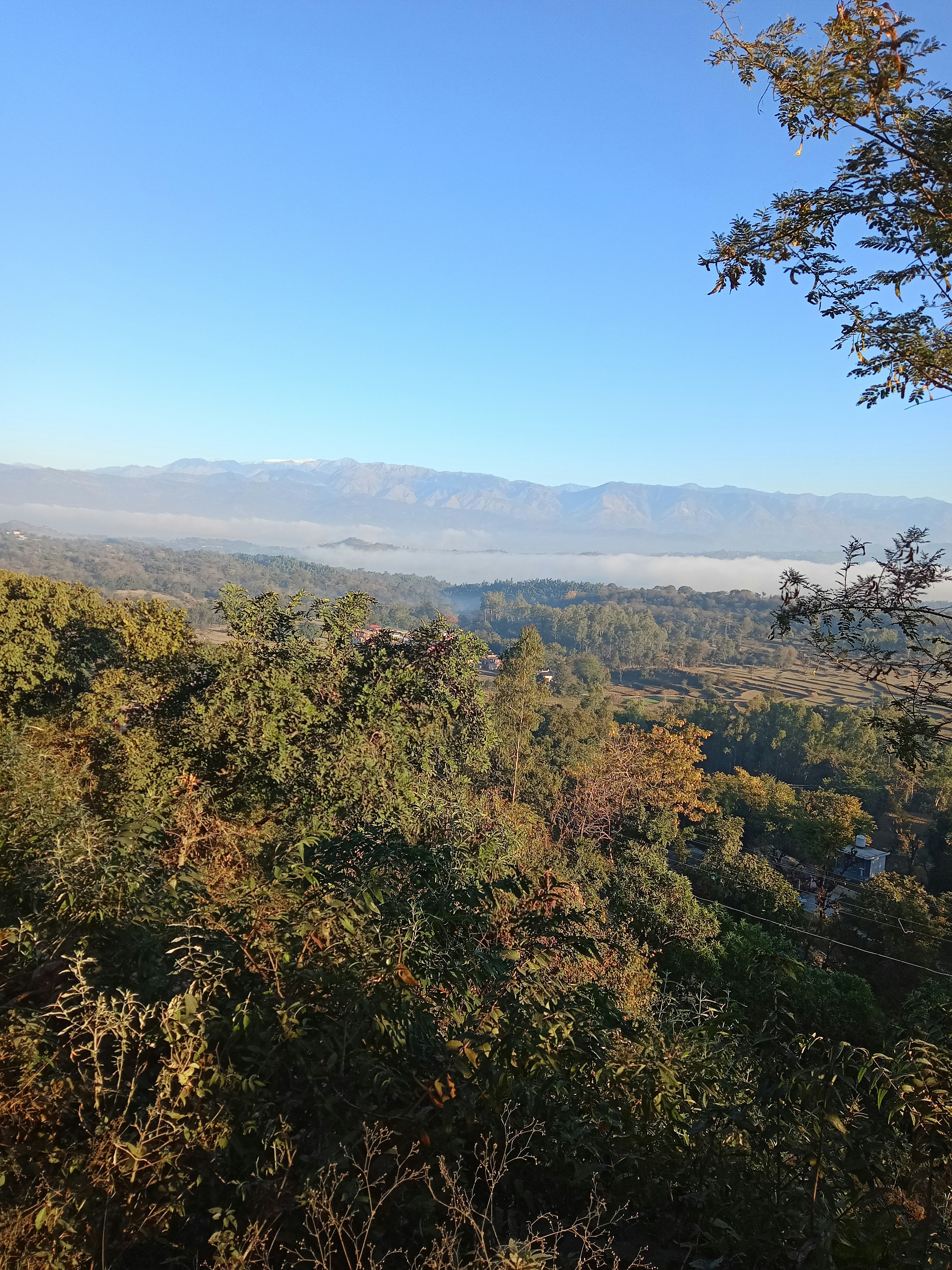 A view of the mountains from a hill top photo – Free Woodland Image on ...
