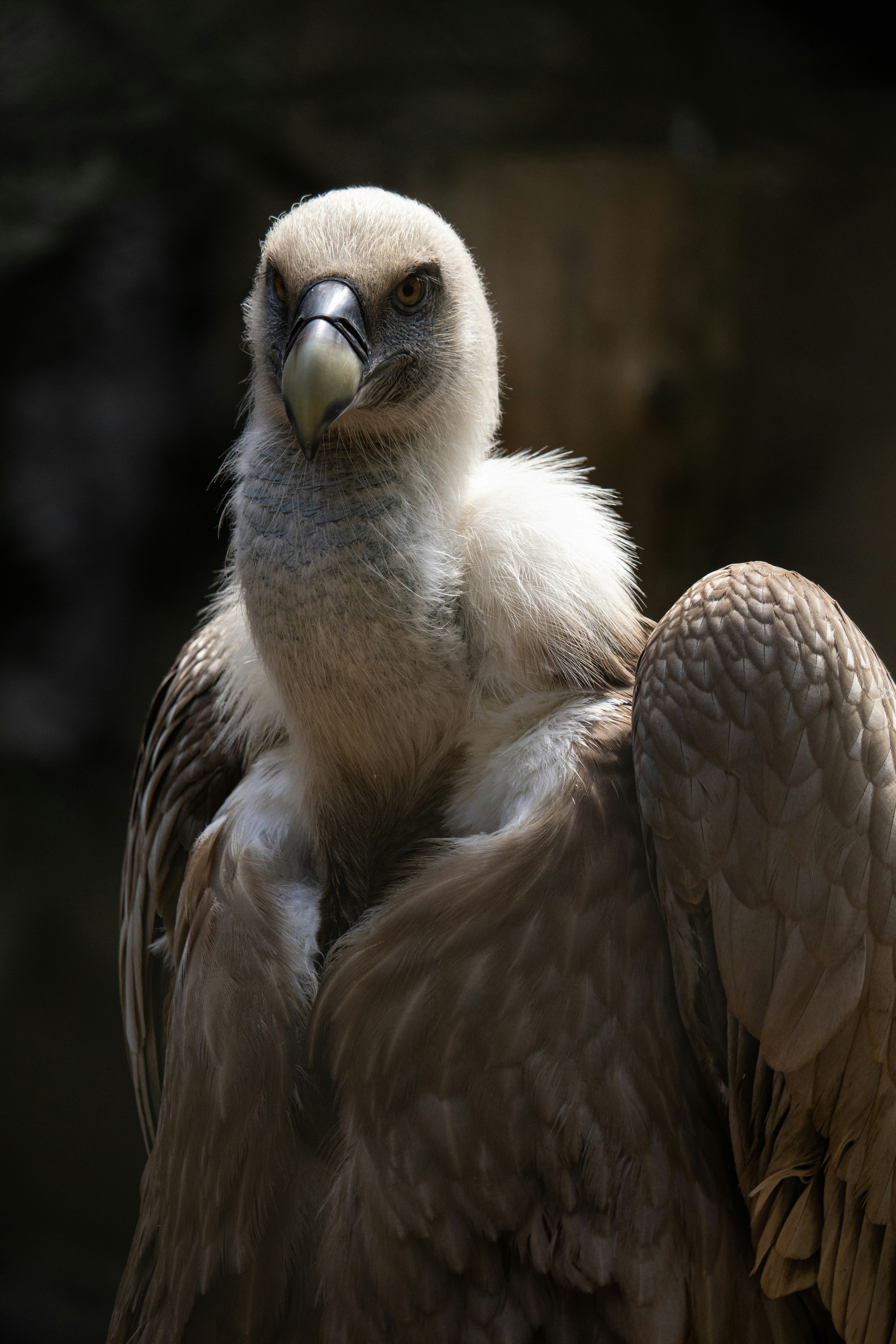 Photo by Daisy Schopman with Canon EOS 250D