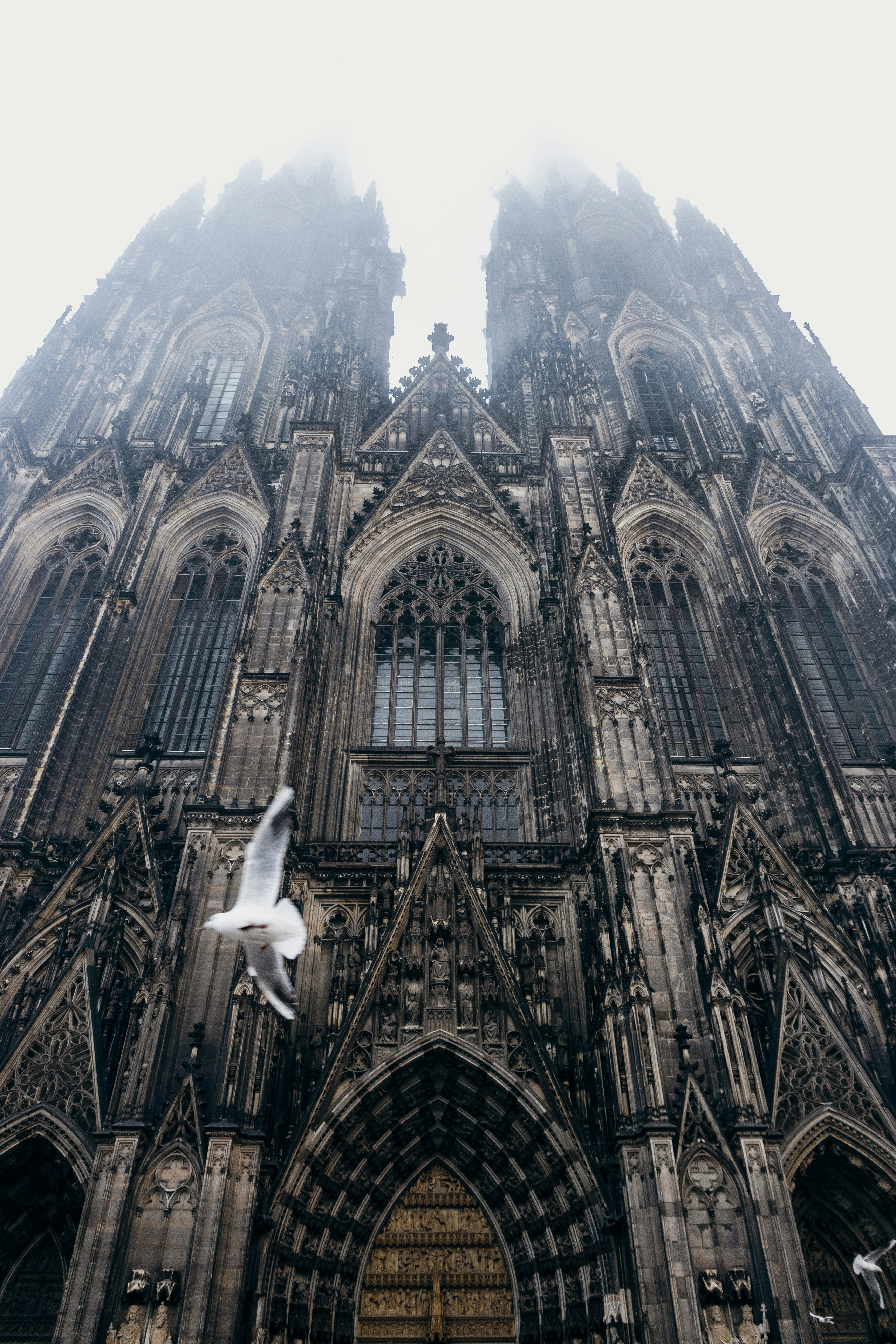 Mist over the Gothic Facade: A Gull in the Foreground