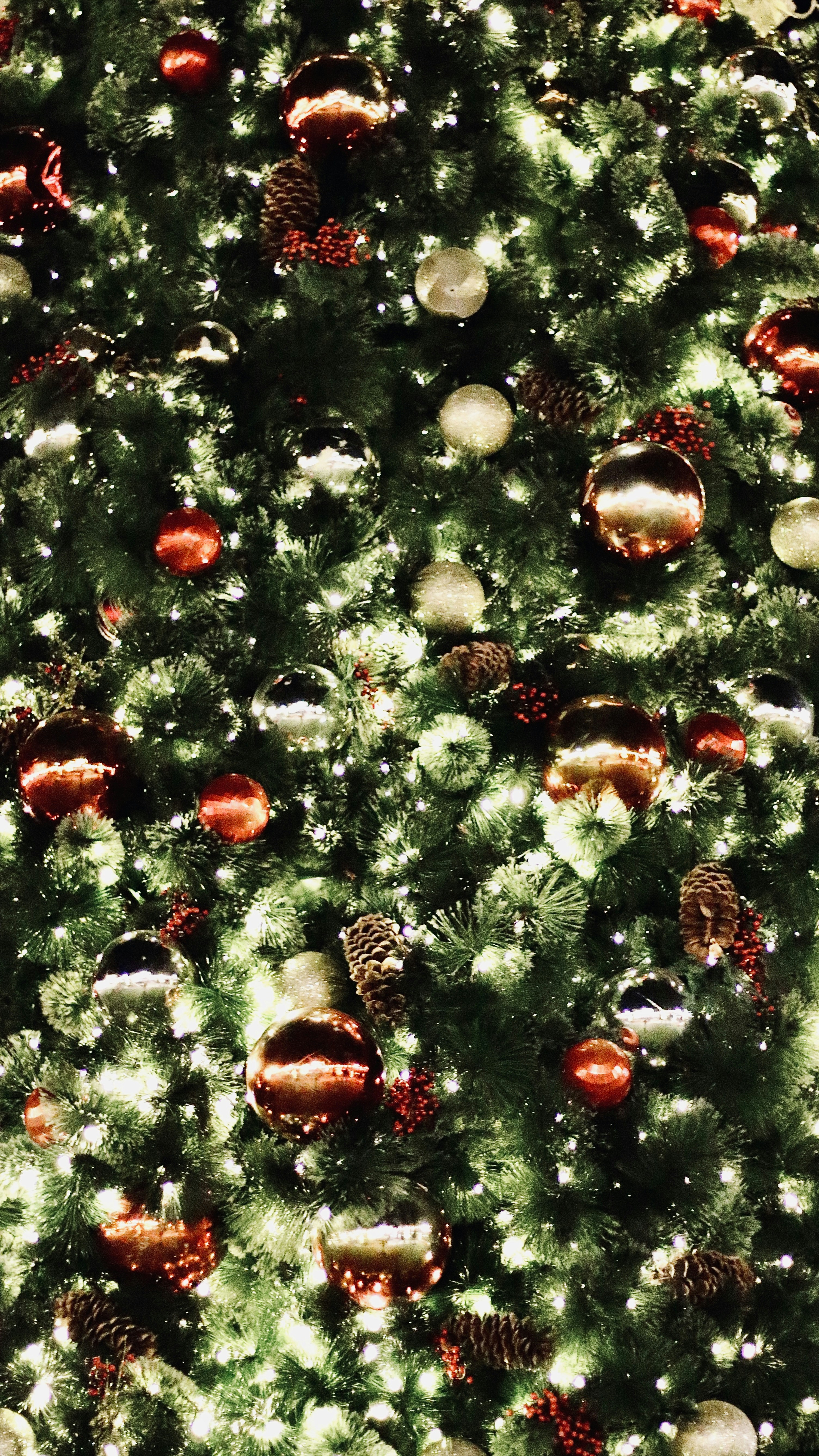 Ornamented Glow: A dense Christmas Tree of Red, Gold, and Pine
