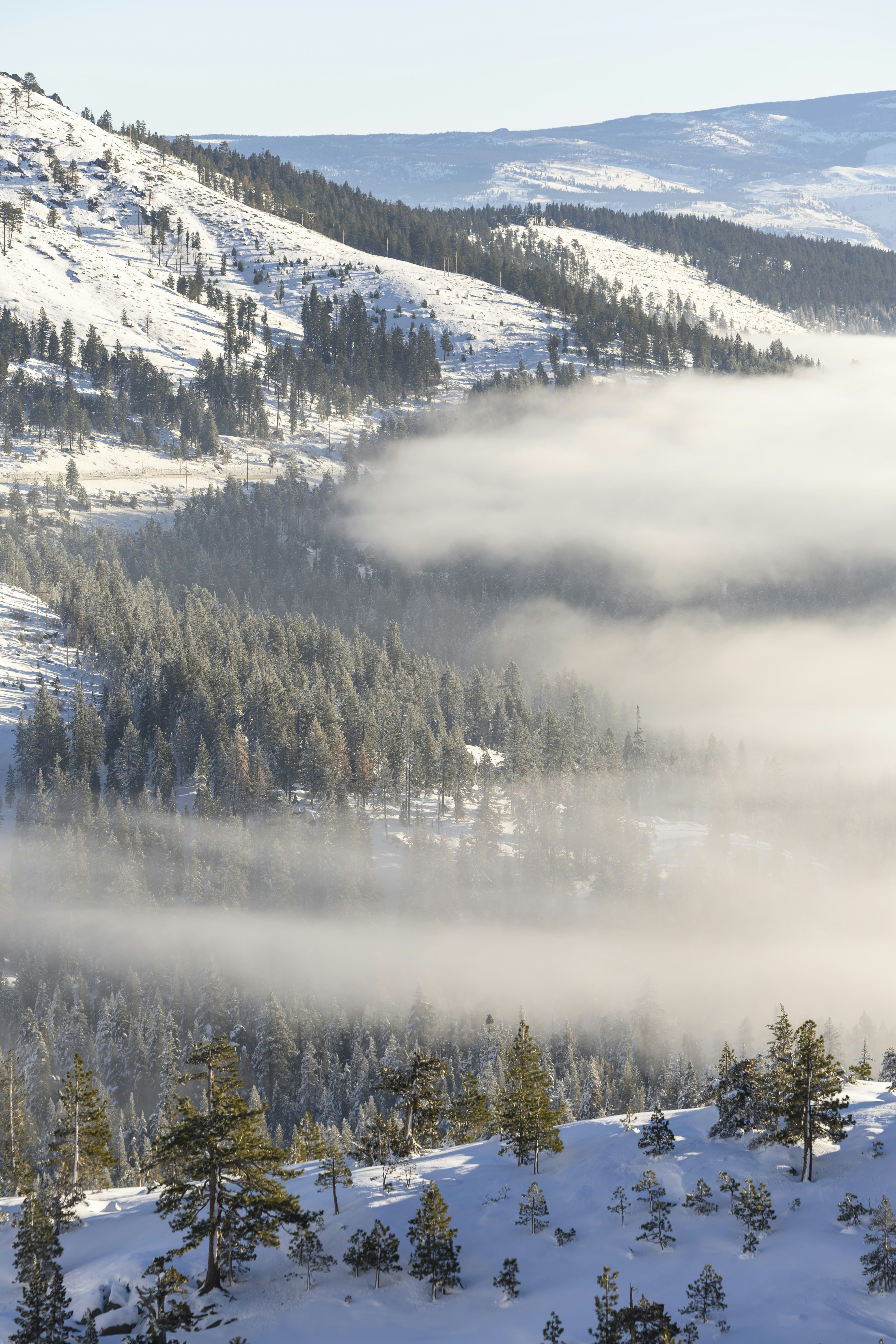 A mountain covered in snow with trees in the foreground photo – Free ...